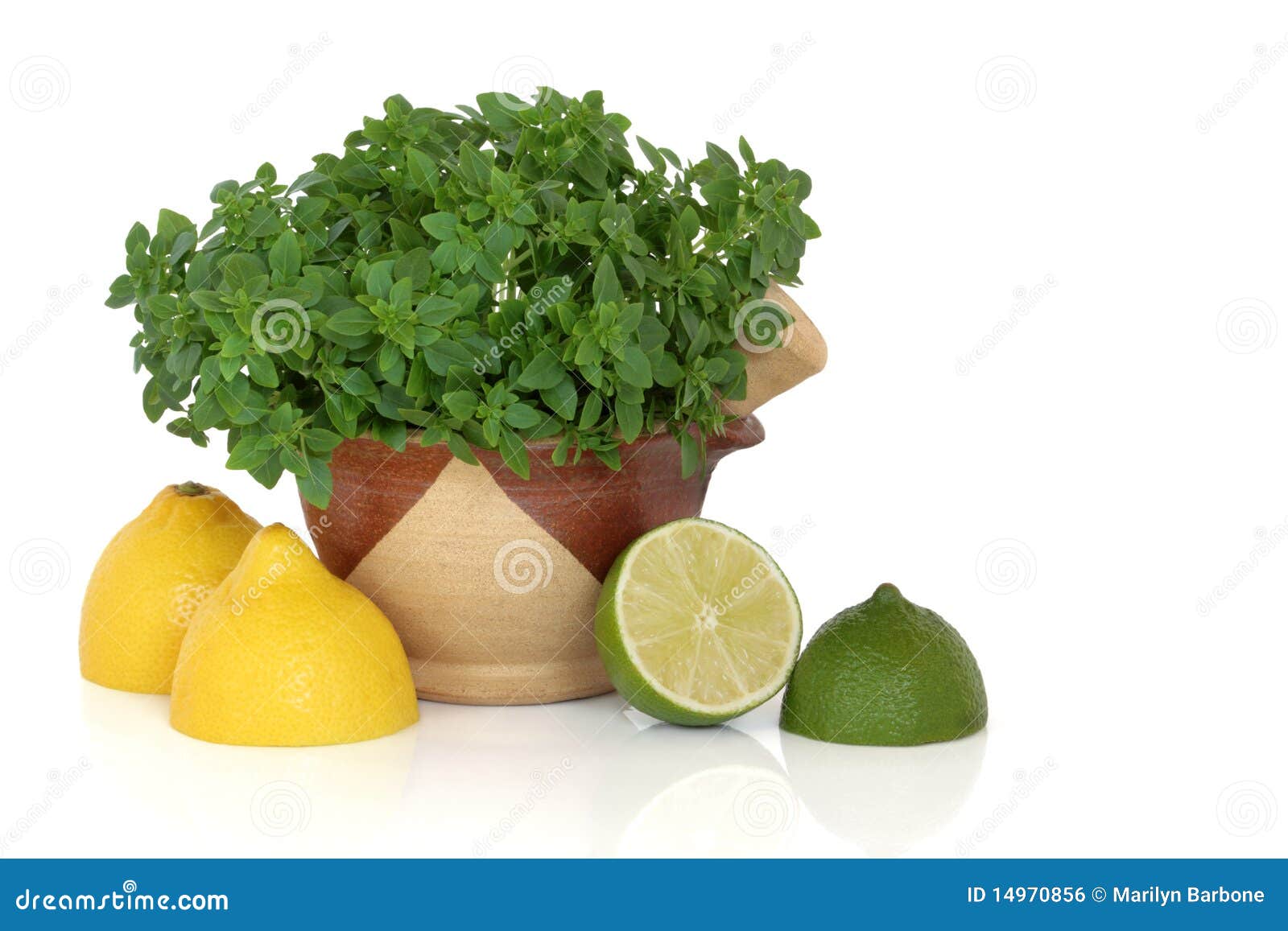 Basil Herb with Lemon and Lime Fruit Stock Photo - Image of basil, diet ...
