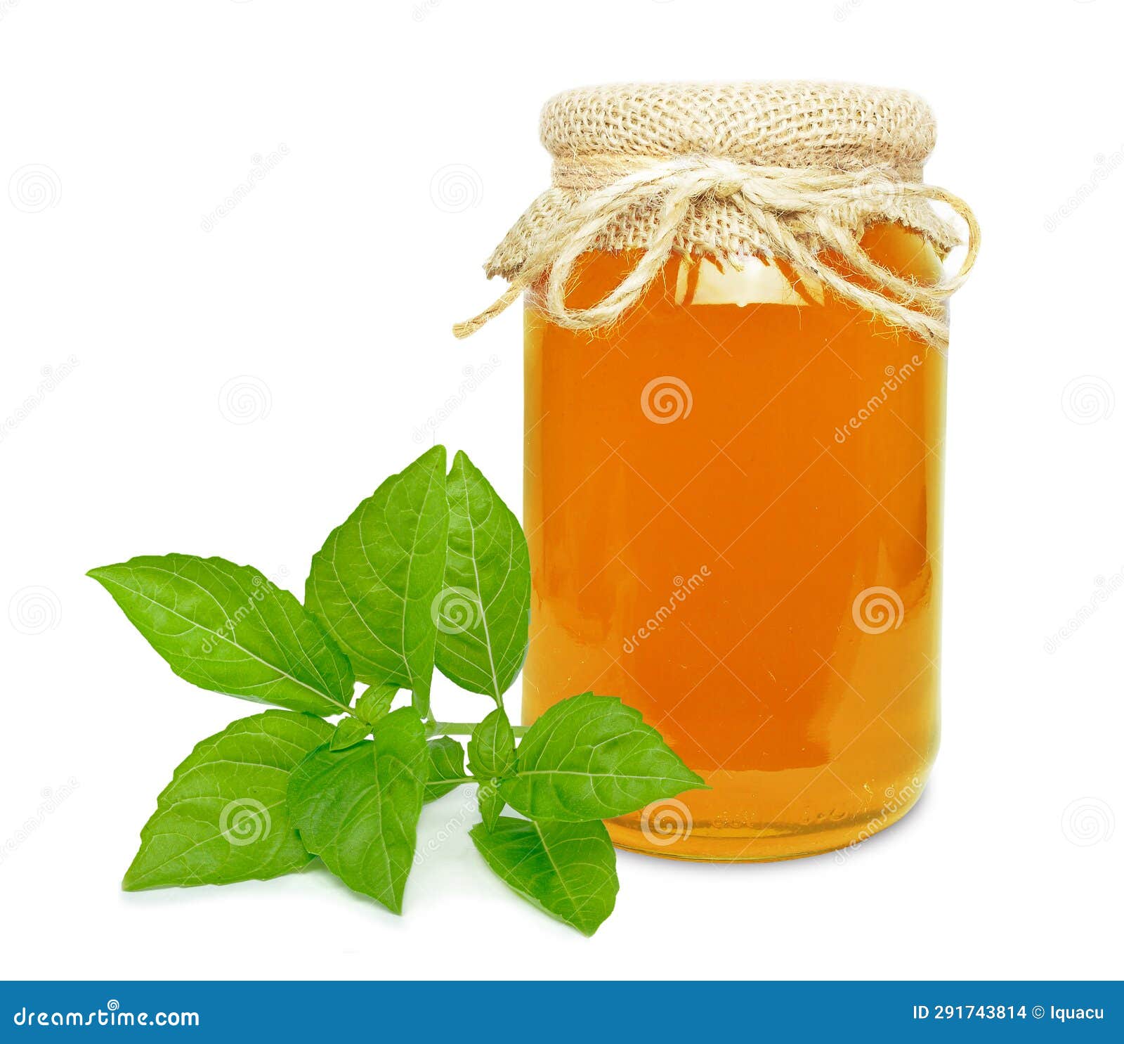 Basil herbal honey stock photo. Image of sticky, fresh - 291743814