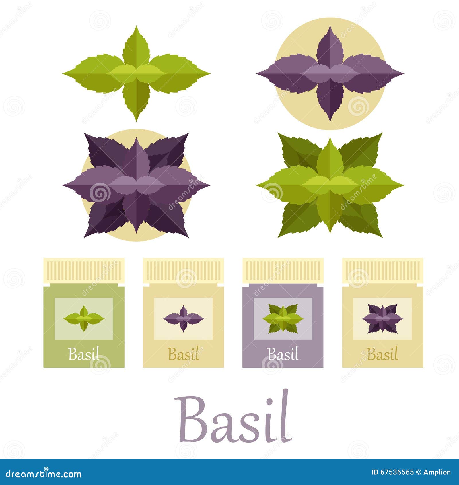 Basil icons set stock vector. Illustration of isolated - 67536565
