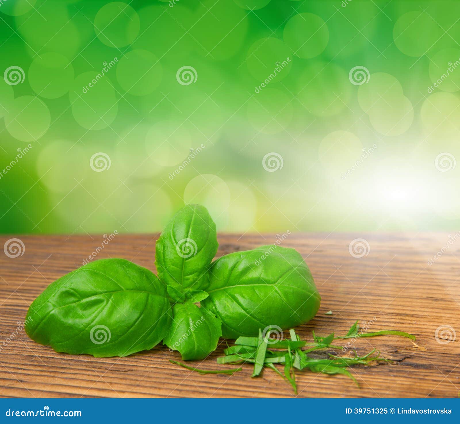 Basil isolated stock image. Image of clean, flavor, botanical - 39751325