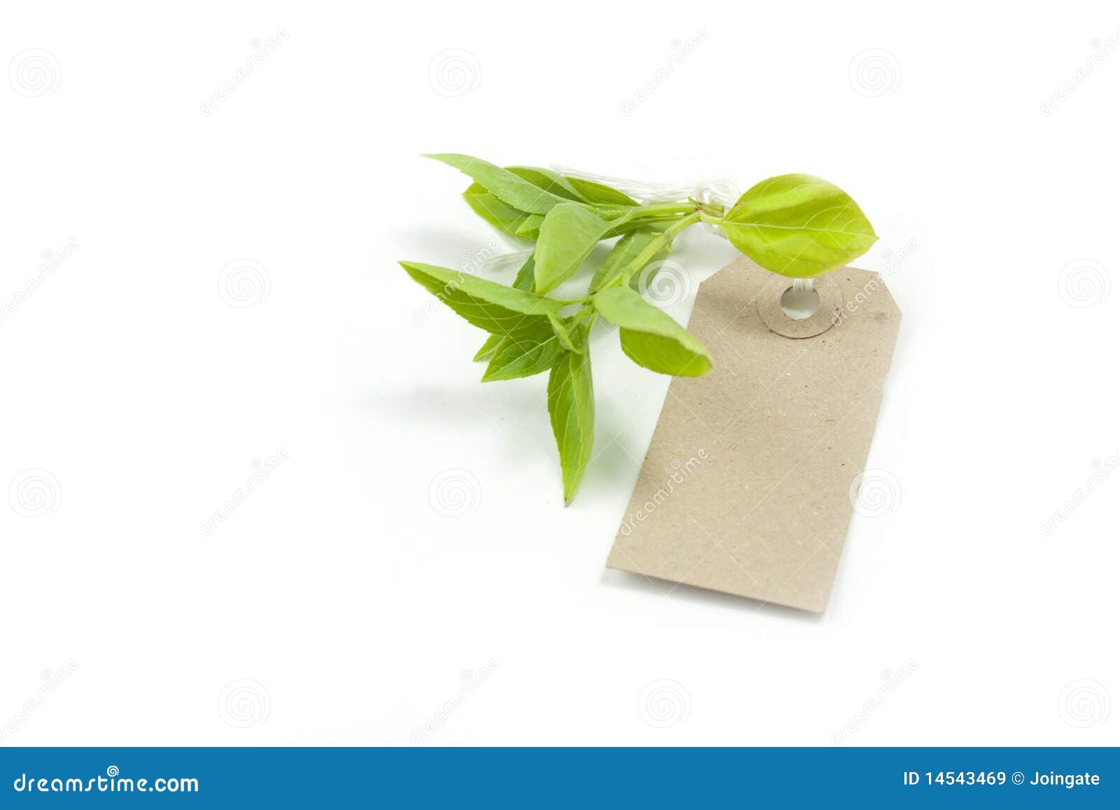 Basil and label tag stock image. Image of piece, shot - 14543469