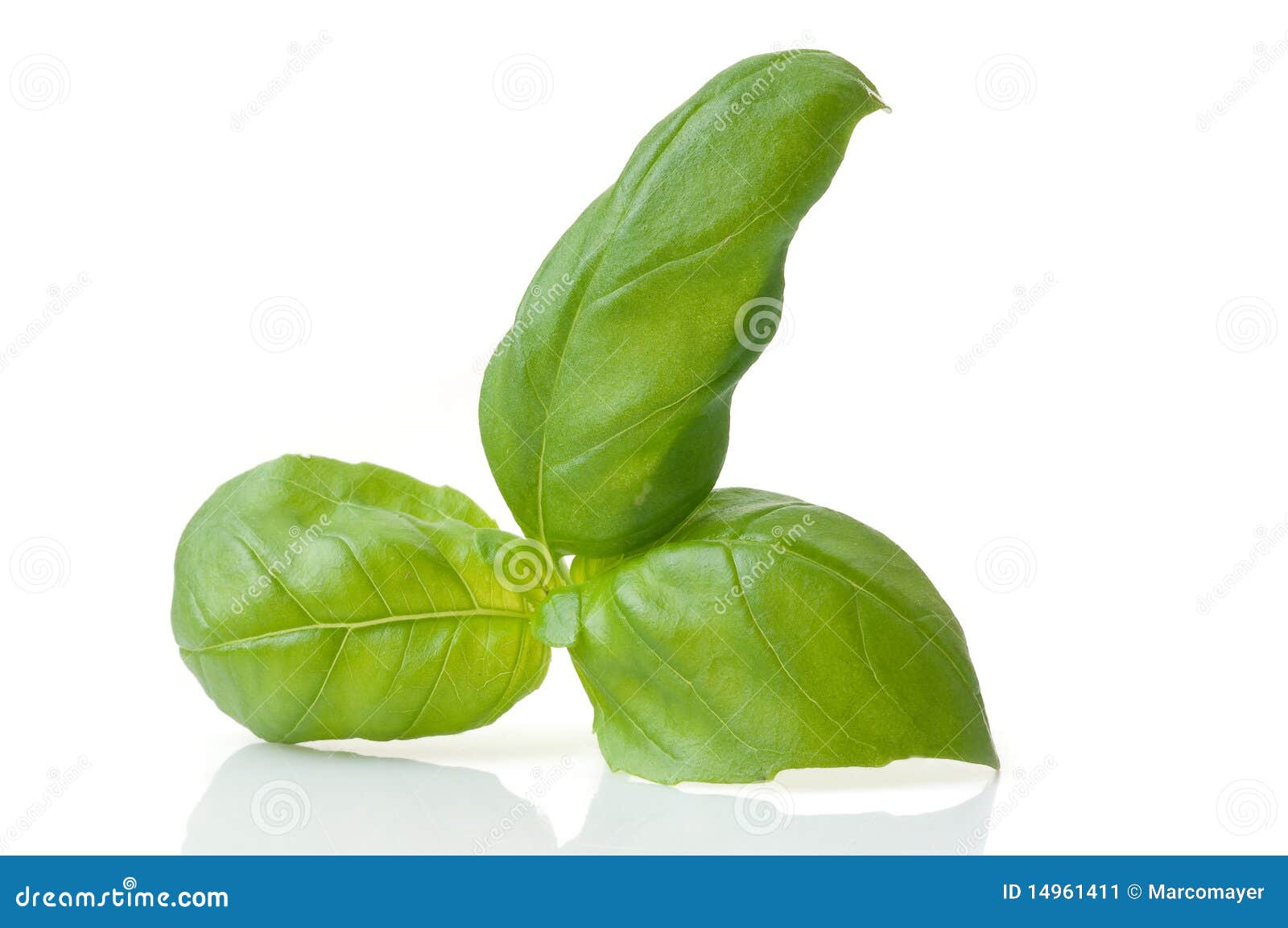 Basil Leaf, Mozzarella Cheese And Tomato Slice As Italy Flag Stock ...