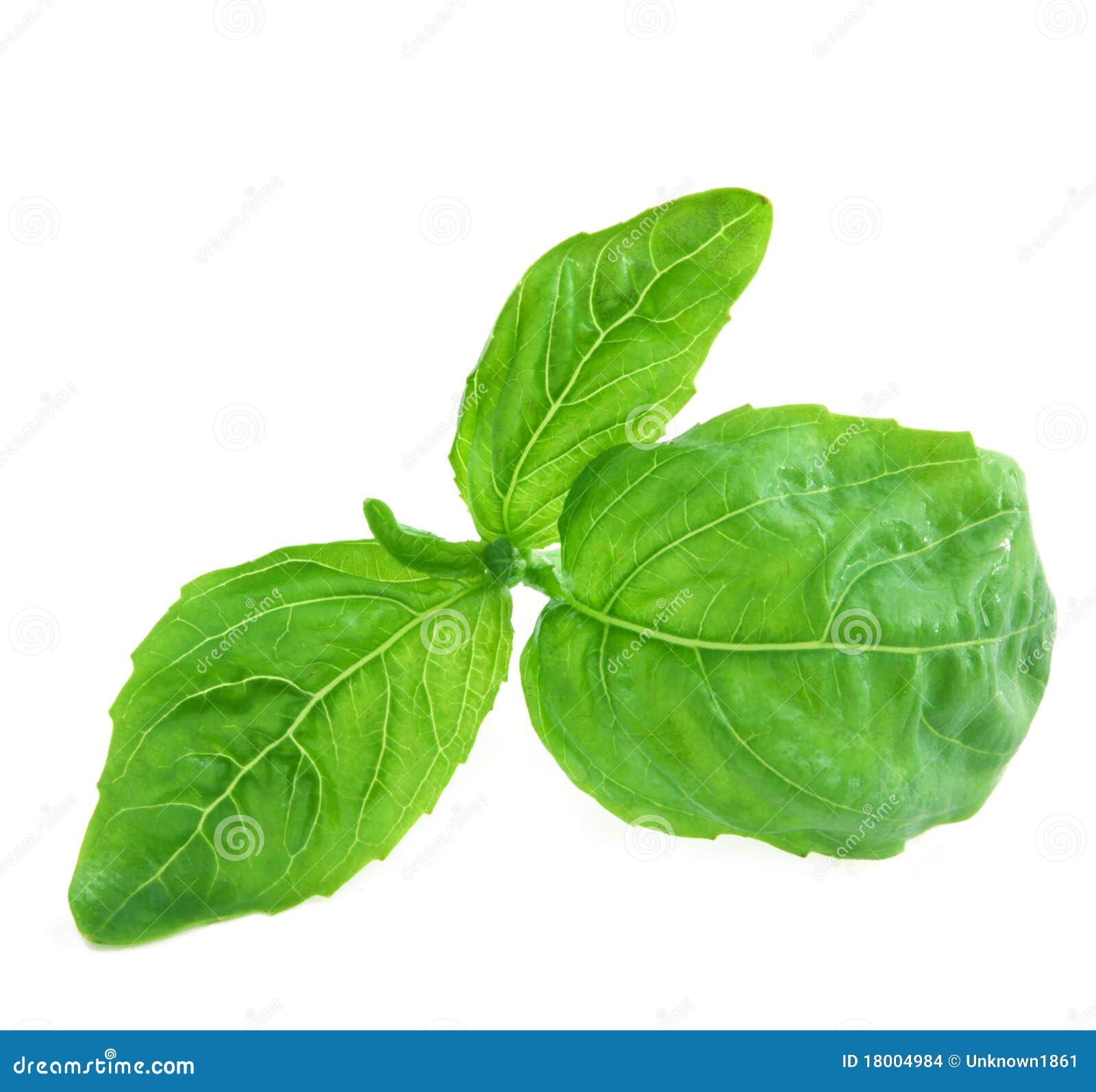 Basil Leaf, Mozzarella Cheese And Tomato Slice As Italy Flag Stock ...