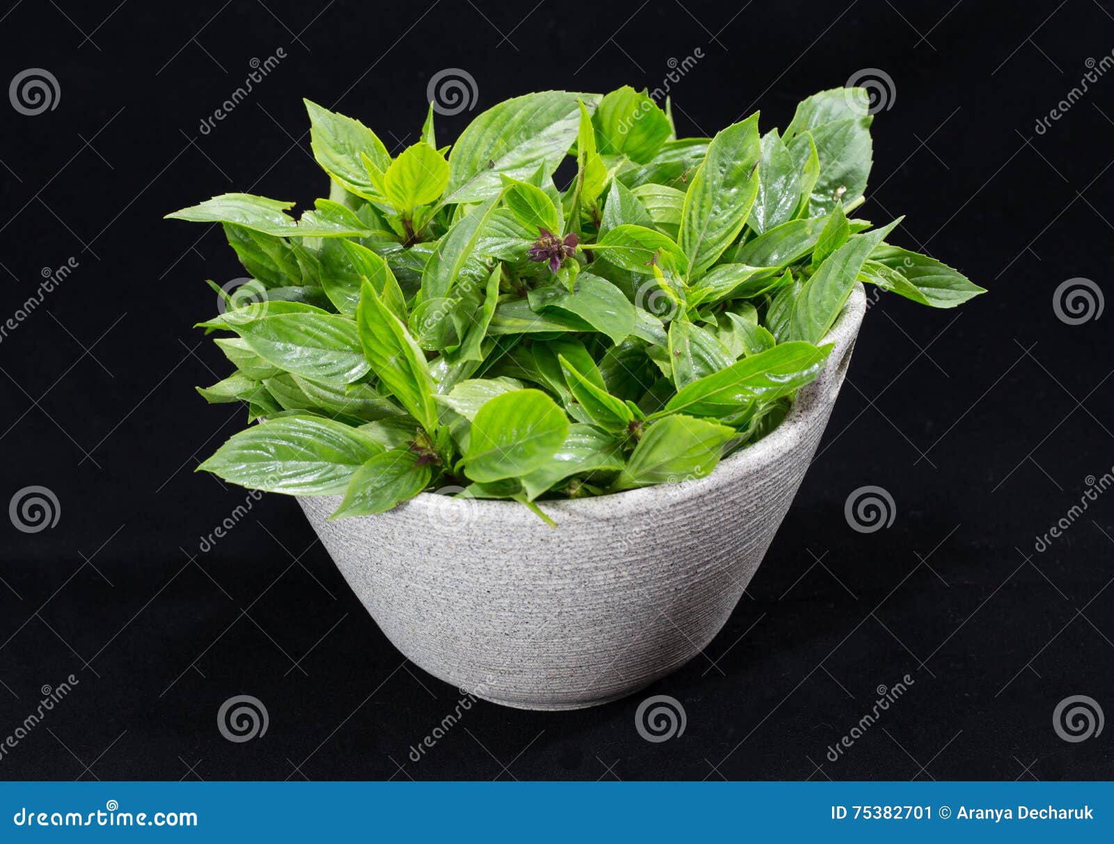 Basil Leaves in Bowl on Black Stock Image - Image of laef, isolated ...