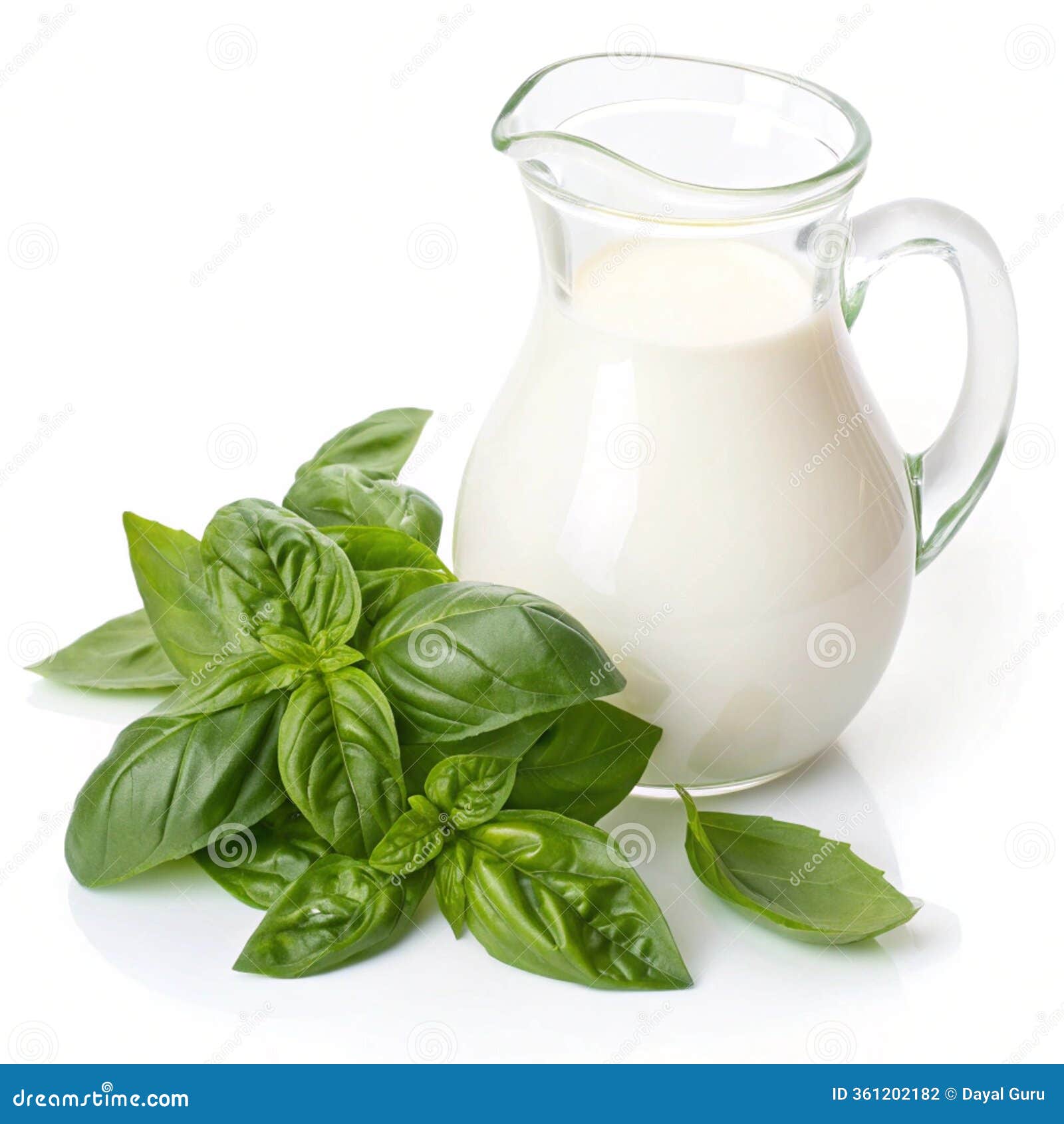 Basil Leaves with Glass Pitcher of Milk Isolated on Transparent ...