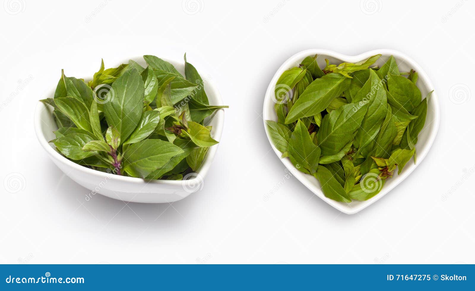 Basil Leaves in a Heart Shaped Bowl Stock Image - Image of healthy ...