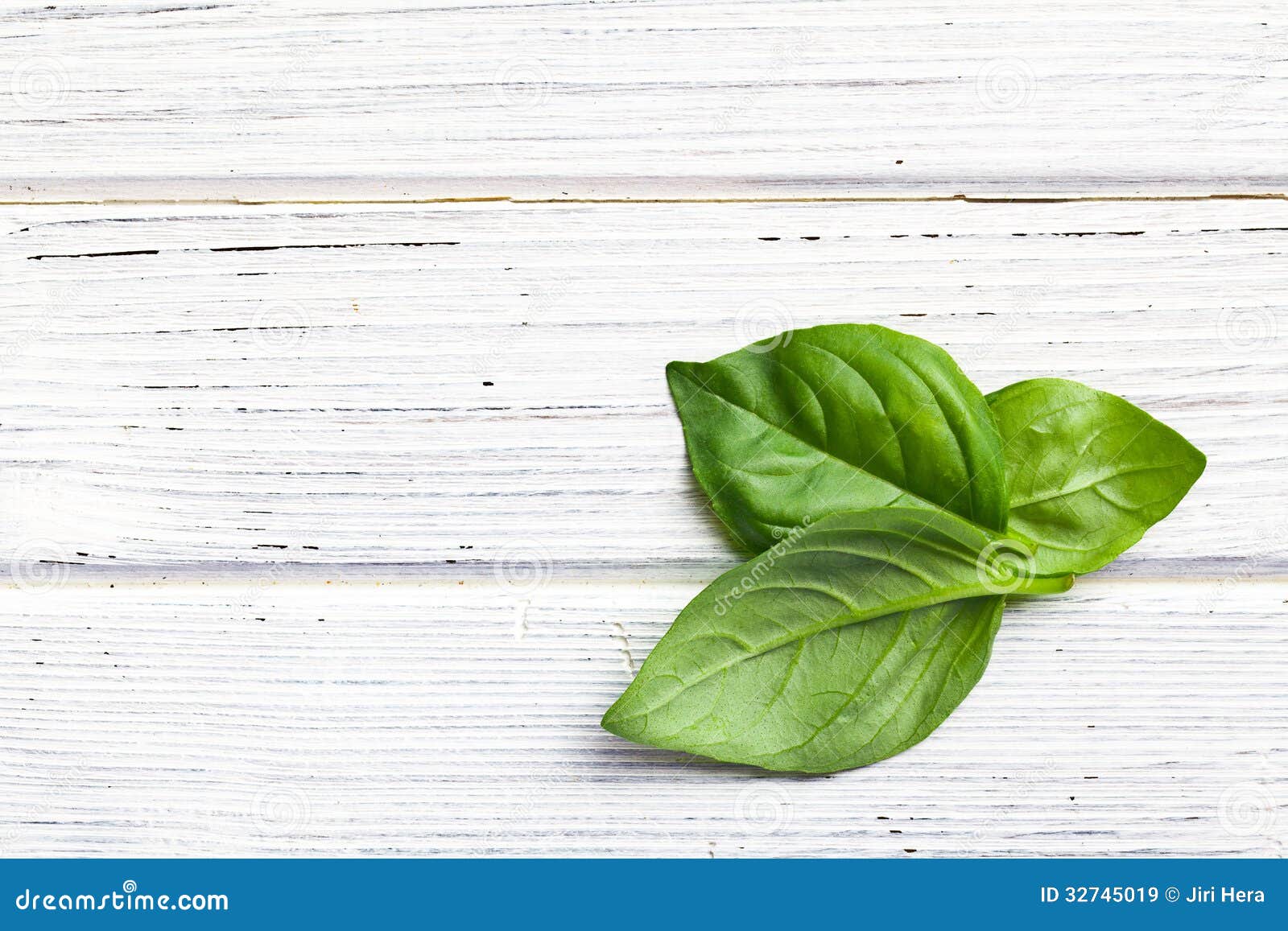 Basil Leaves on Kitchen Table Stock Image - Image of basil, organic ...