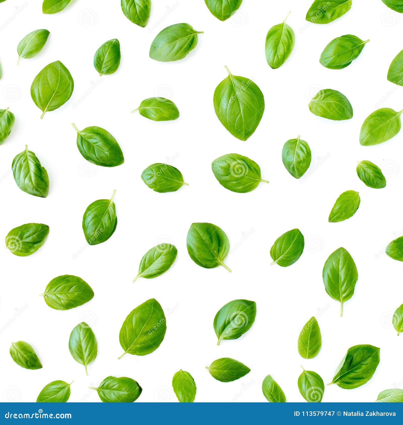 Basil Leaves Pattern Isolated on White Background. Top View Stock Image ...