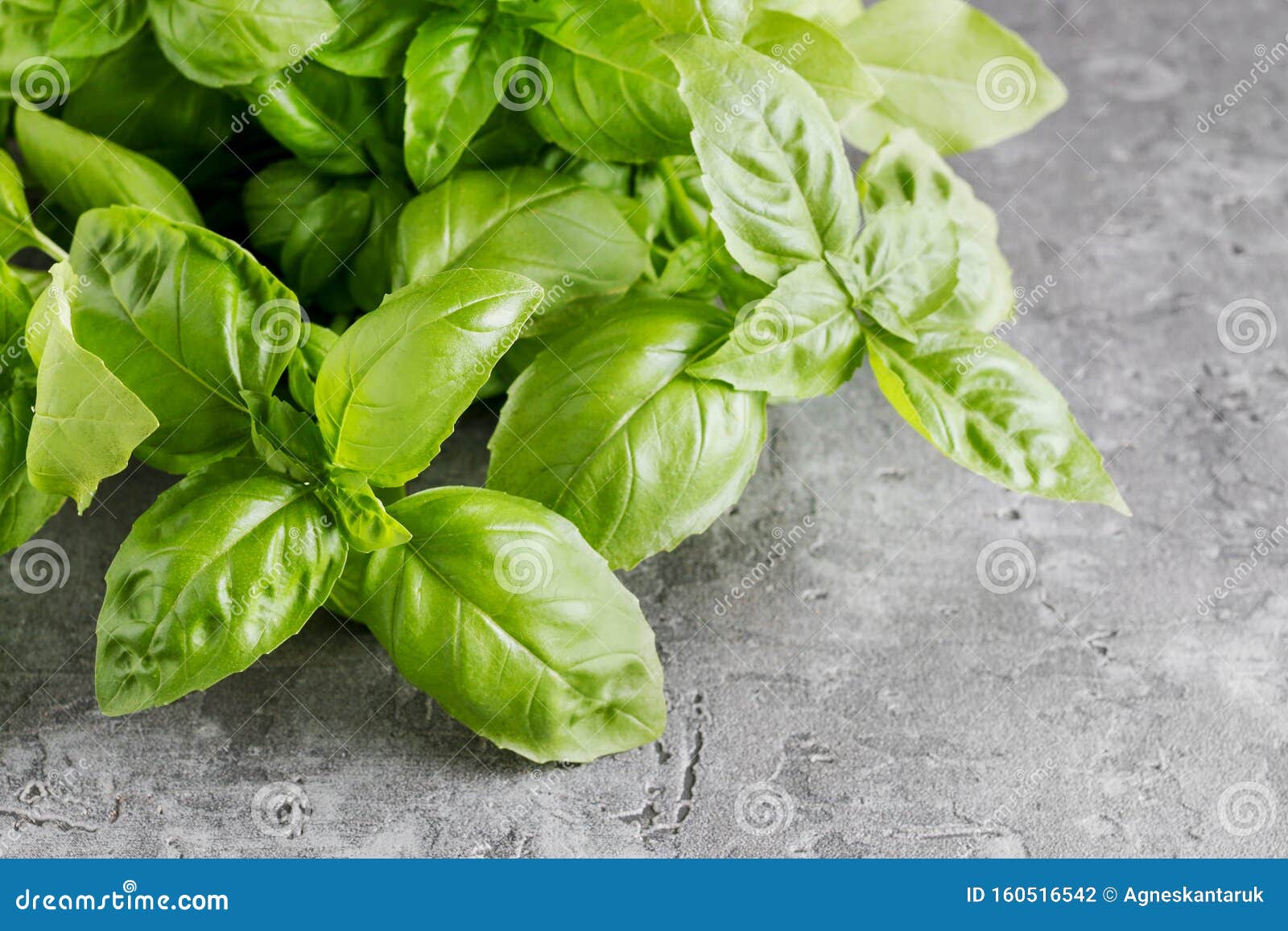 Basil Leaves on Stone Background Stock Photo - Image of board, color ...