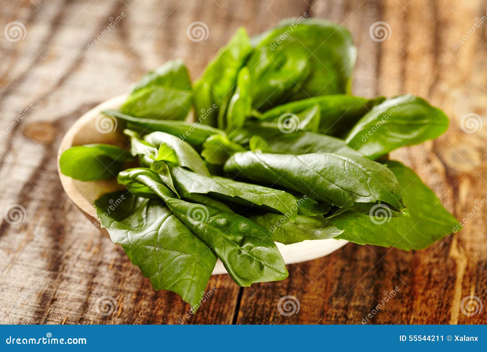 Basil Leaves in a Wooden Bowl Stock Image - Image of food, herb: 55544211