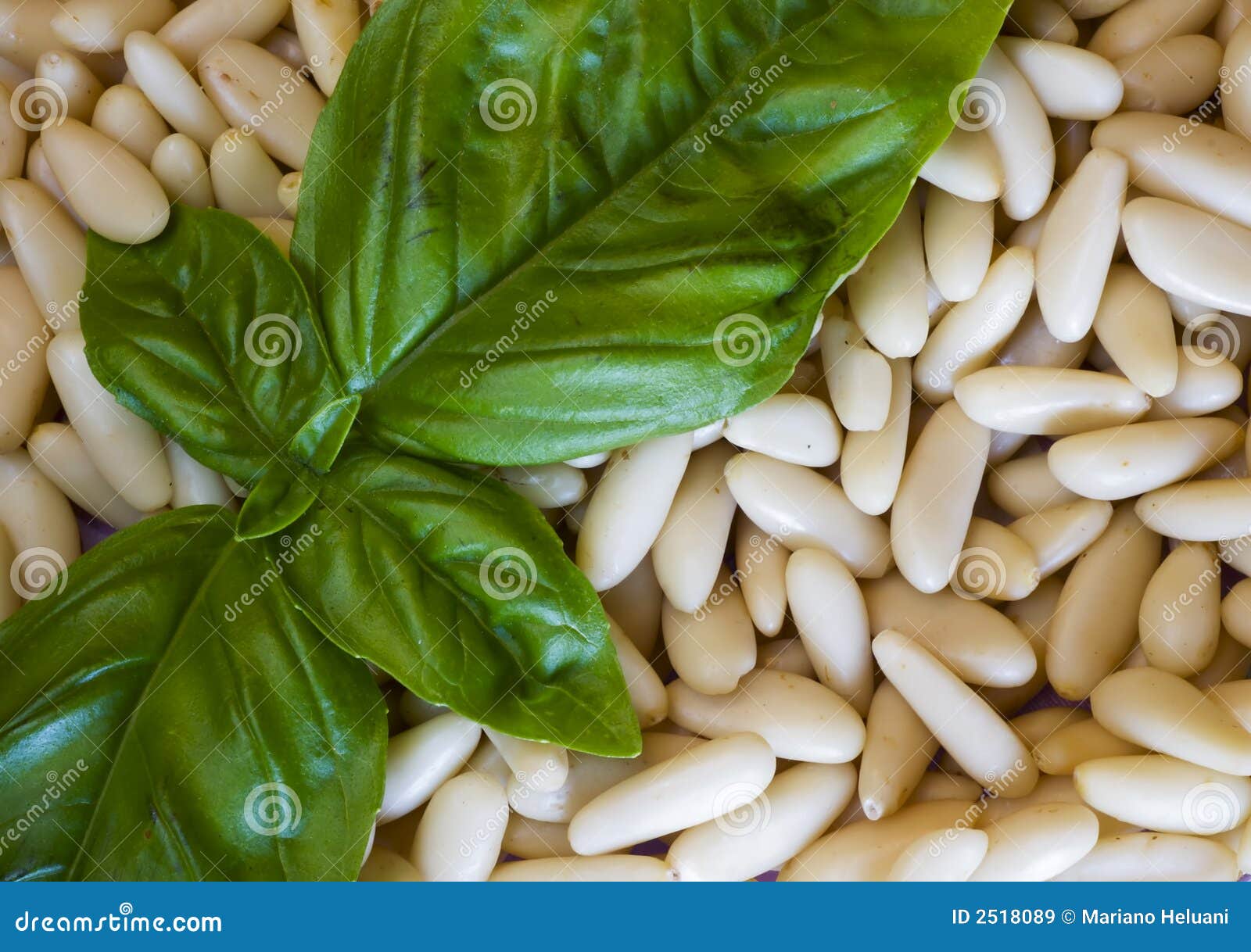 Basil & Pine Nuts stock image. Image of italy, genova - 2518089