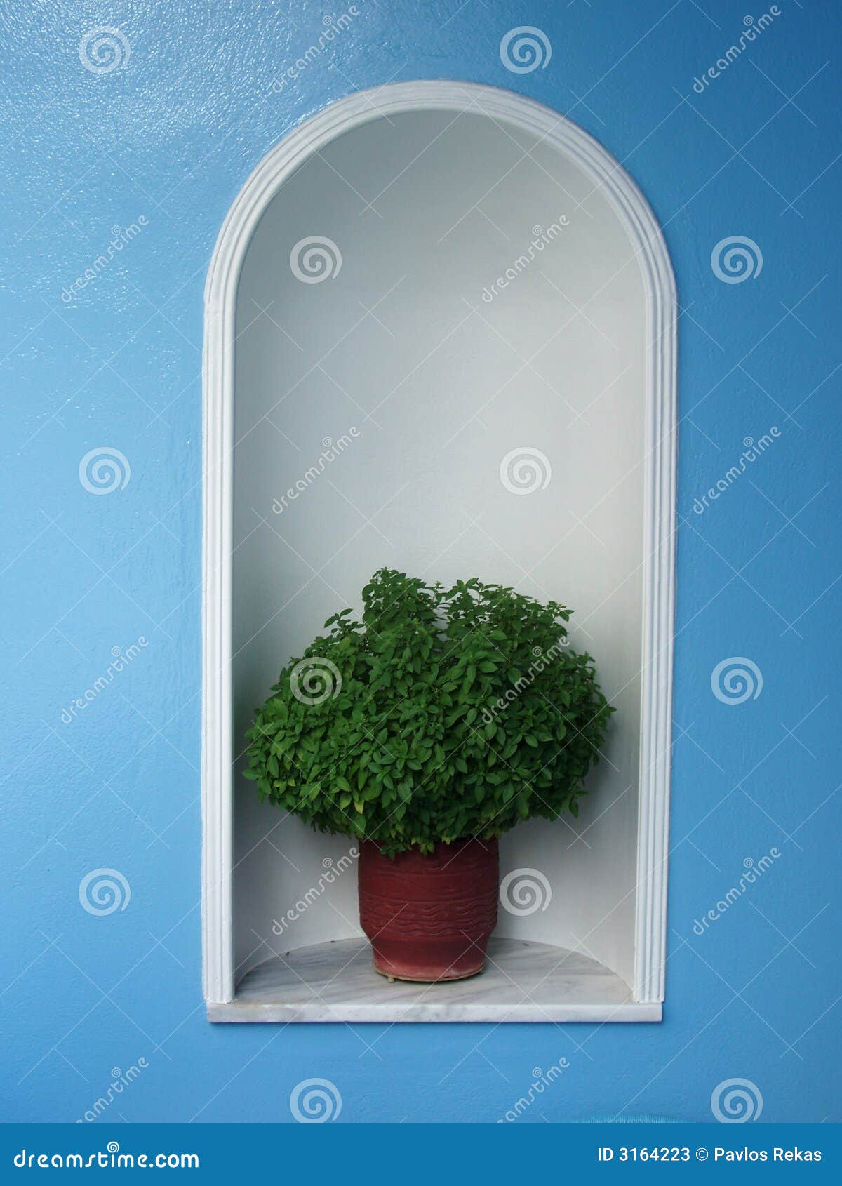 Basil Pot - Andros, Greece stock image. Image of detail - 3164223