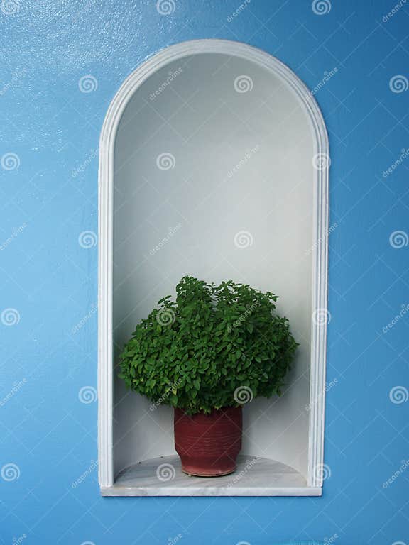 Basil Pot - Andros, Greece stock image. Image of detail - 3164223