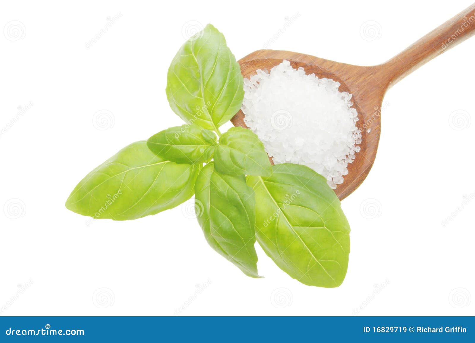 Basil and rock salt stock image. Image of leaf, crystal - 16829719