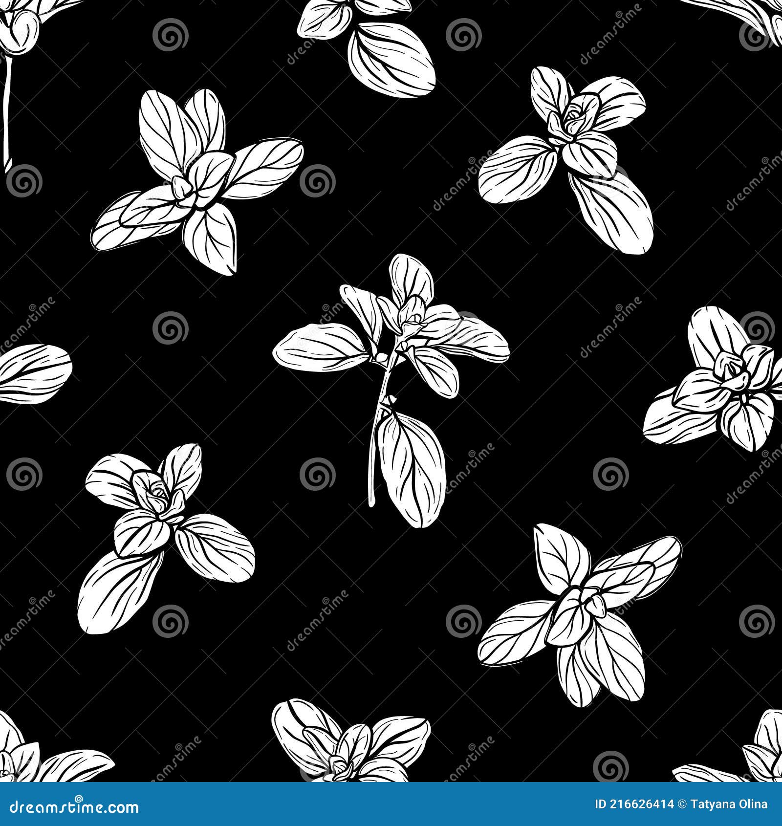 Basil Seamless Pattern. Italian Herbs. Marjoram Pattern Stock Vector - Illustration of branch ...