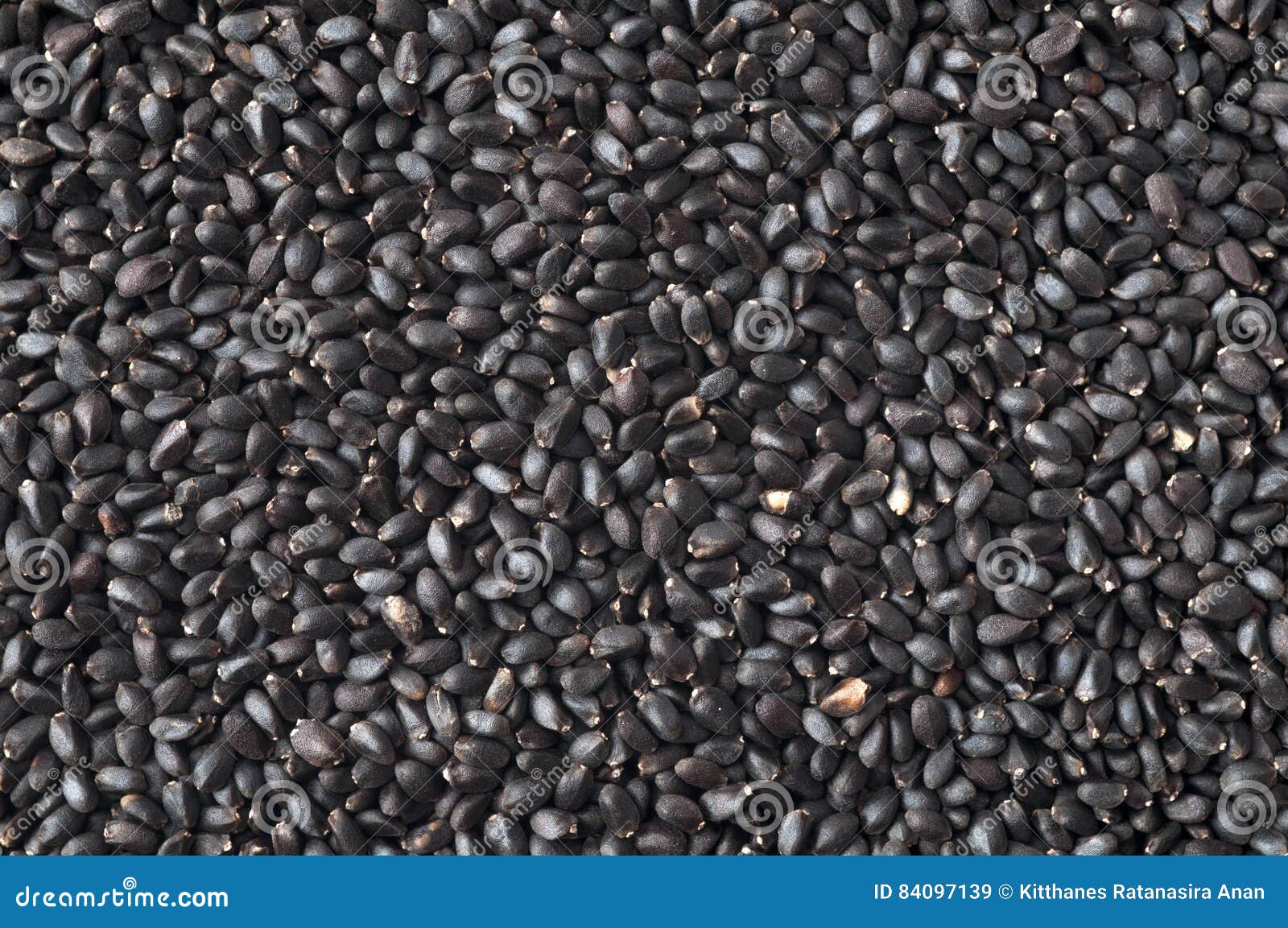 Basil Seeds Close Up Shot on White Background. Stock Image - Image of ...