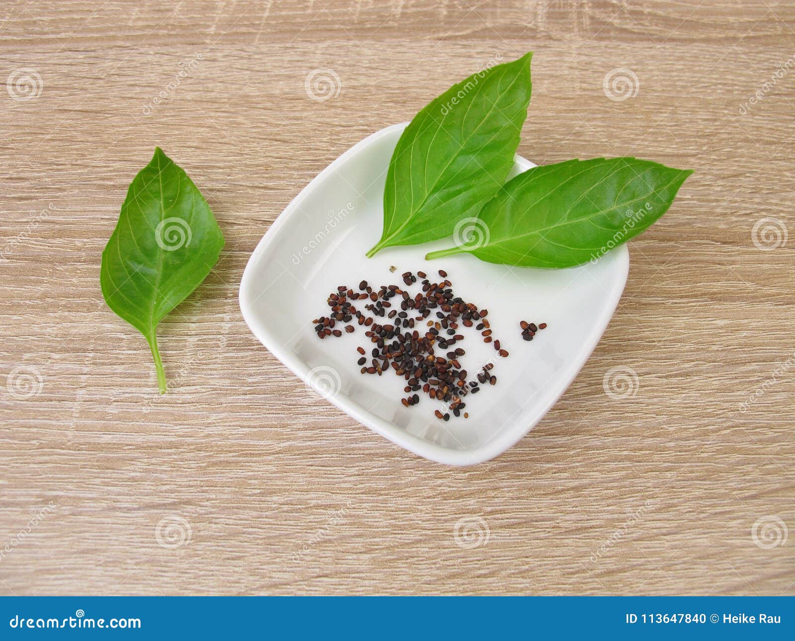 Basil Seeds and Basil Leaves Stock Photo - Image of plant, basil: 113647840