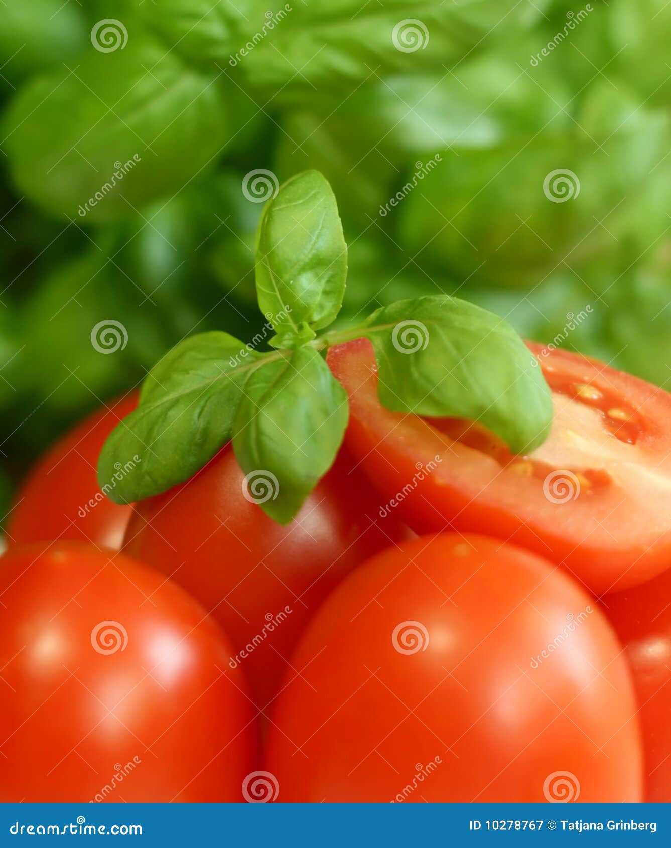 Basil and tomato. stock image. Image of chef, meal, delicious - 10278767