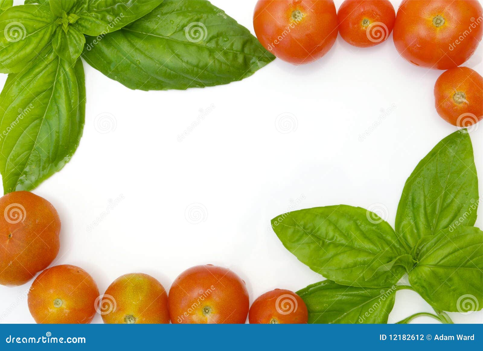 Basil and tomato border stock photo. Image of diet, cook - 12182612