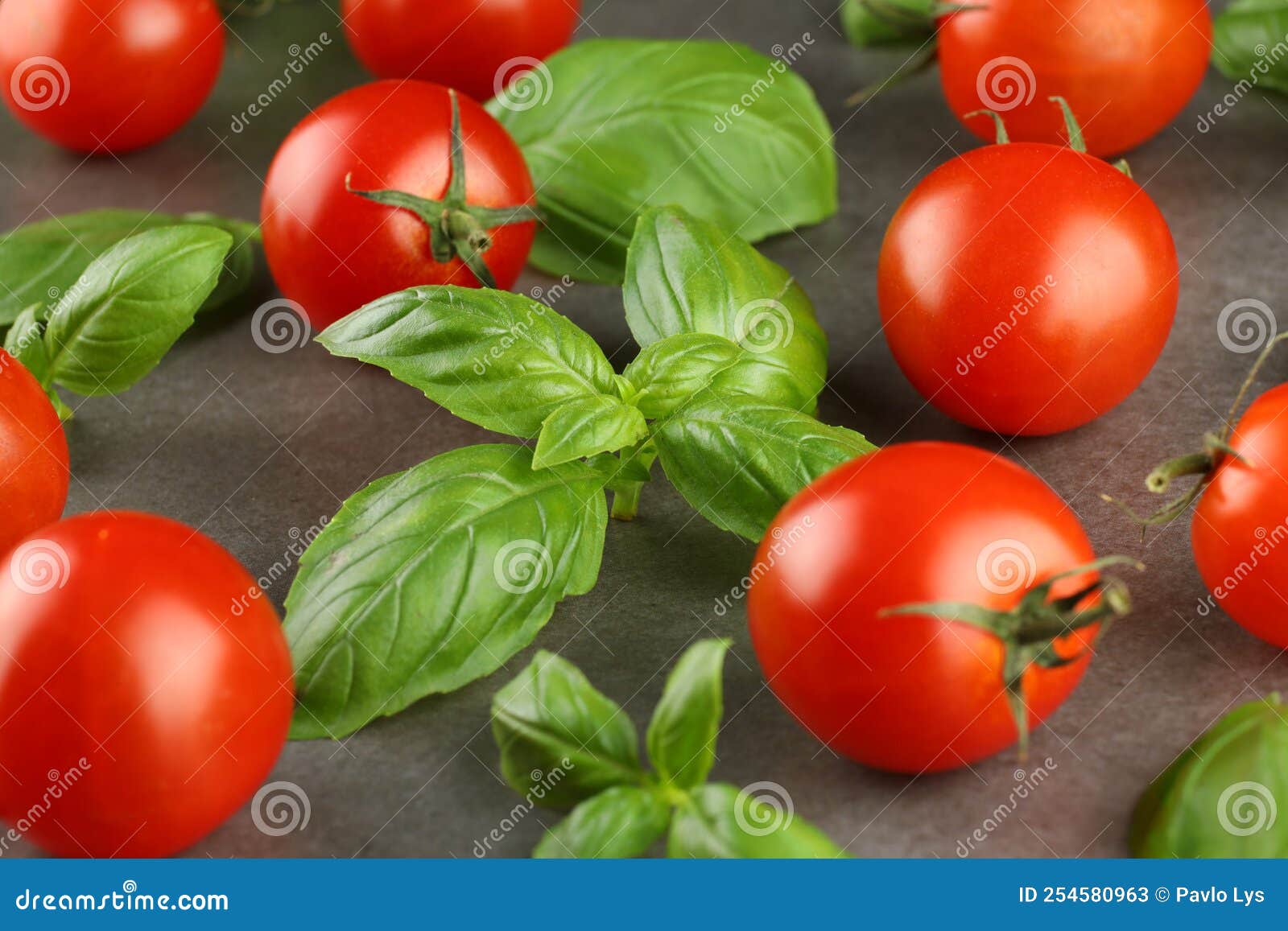 Basil and Tomato Cherry. Tomato and Basil Greens Stock Image - Image of ...