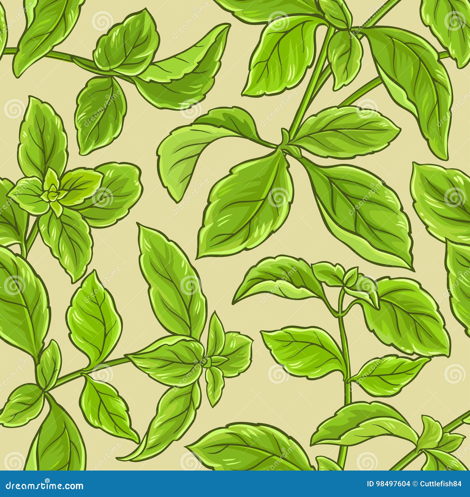 Basil vector pattern stock vector. Illustration of organic - 98497604