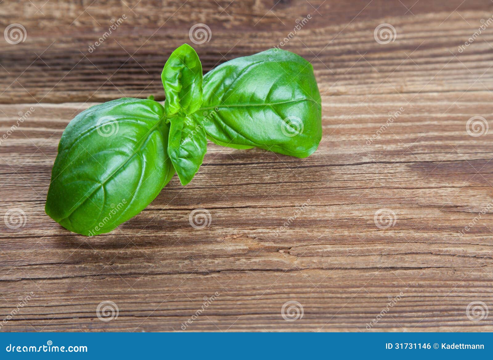 Basil on wood stock photo. Image of bunch, healthcare - 31731146