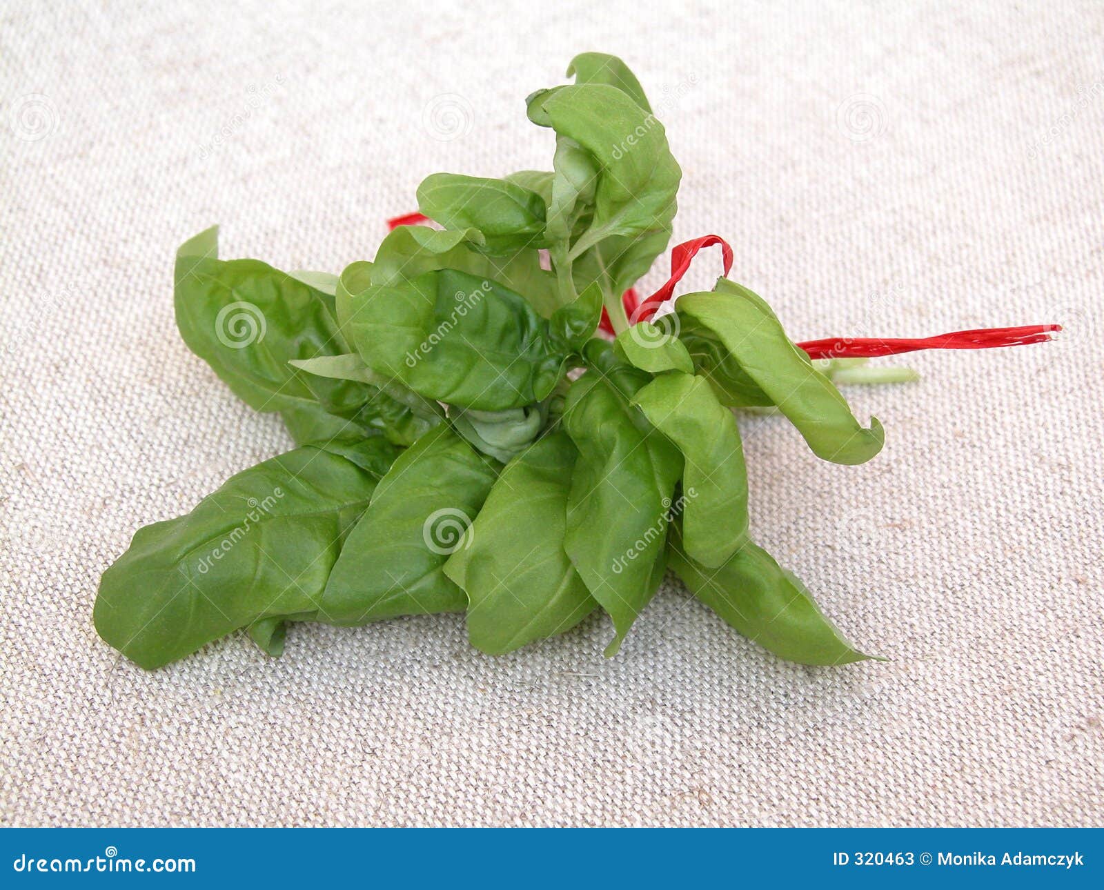 Basilic image stock. Image du ingrédient, épices, herbe - 320463
