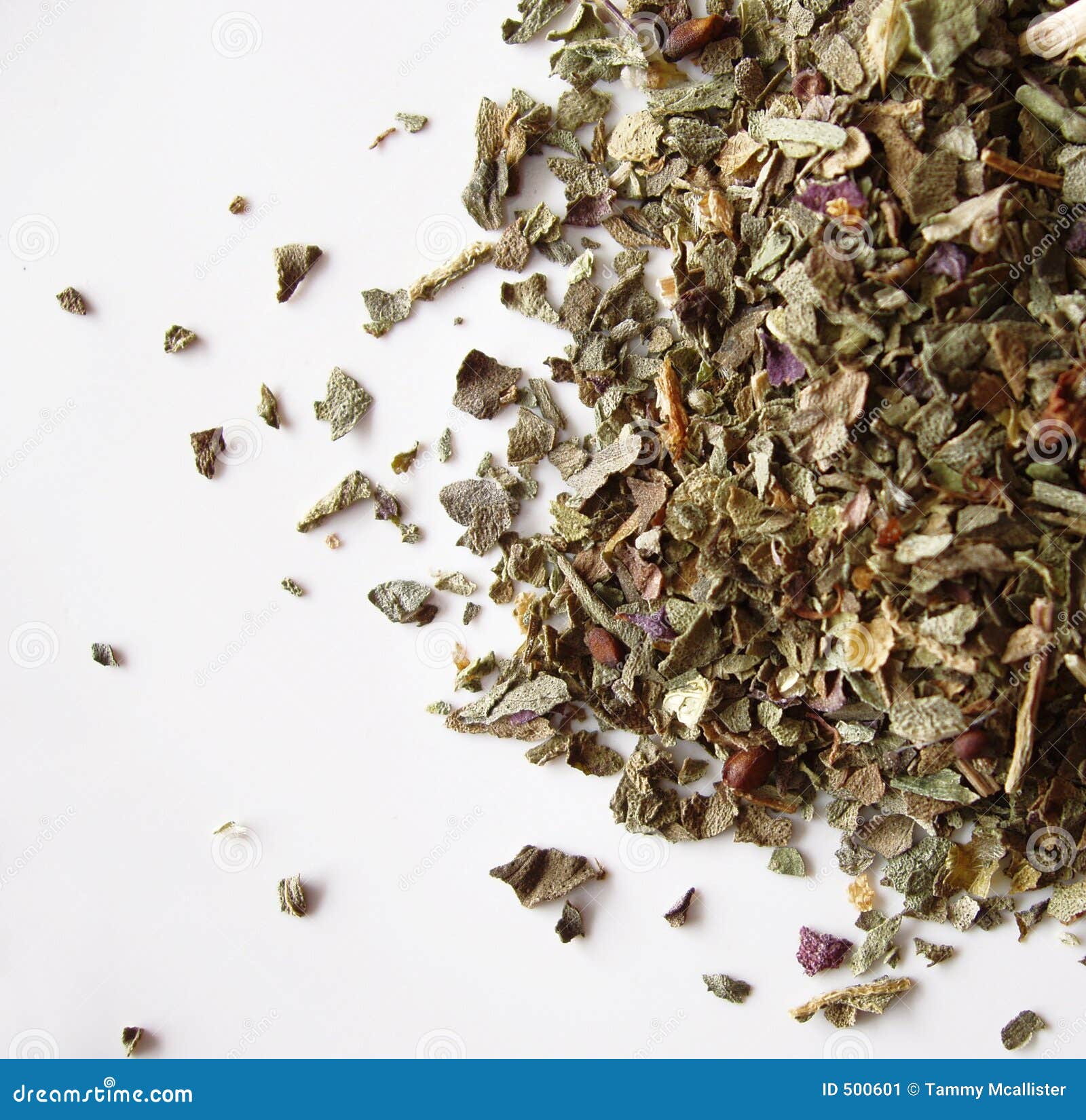 Basilic sec image stock. Image du pépinière, recette, préparation - 500601