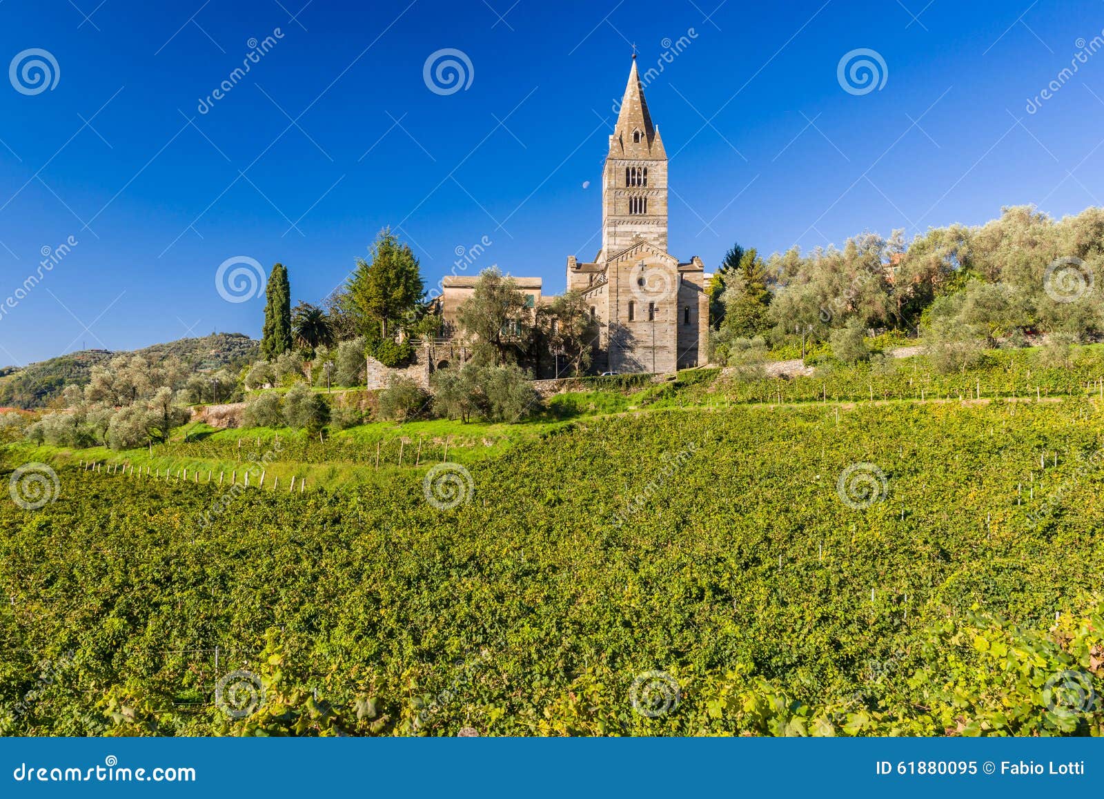 Basilica di Fieschi immagine stock. Immagine di vigna - 61880095