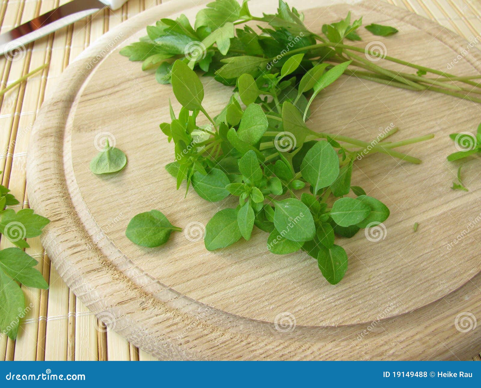 Basilico E Sedano Di Montagna Piccolo-leaved Fotografia Stock ...