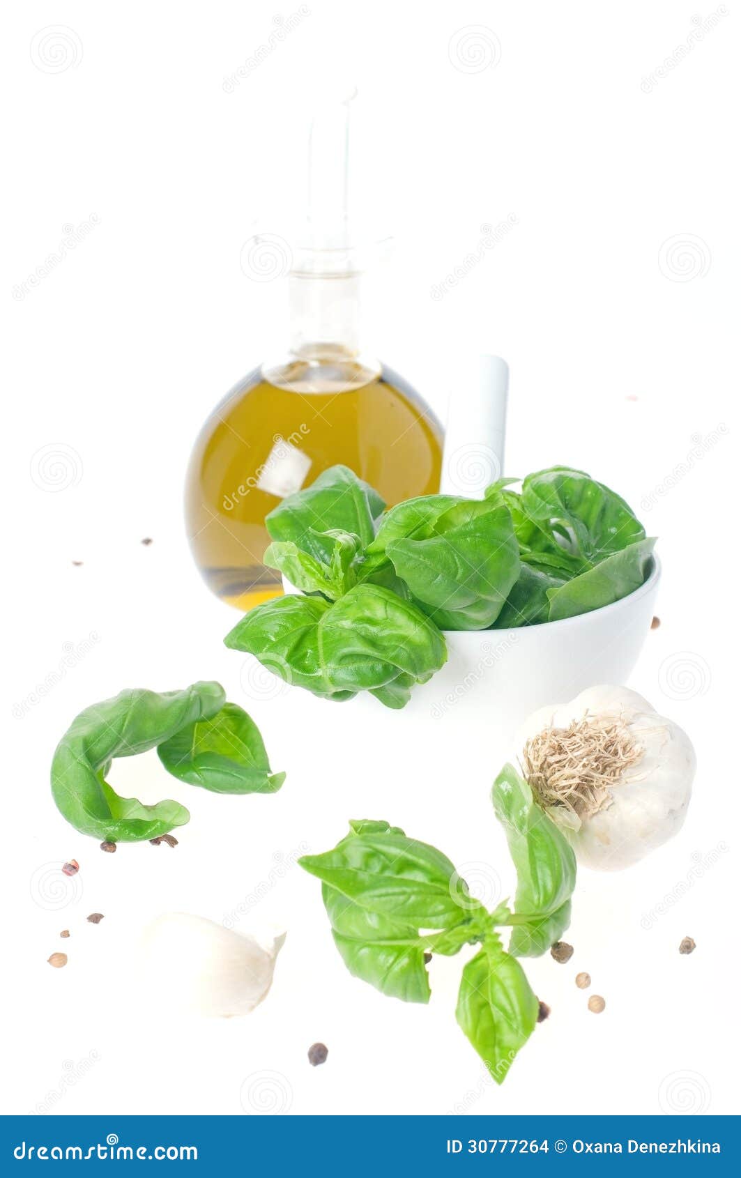 Basilico verde fresco fotografia stock. Immagine di macro - 30777264