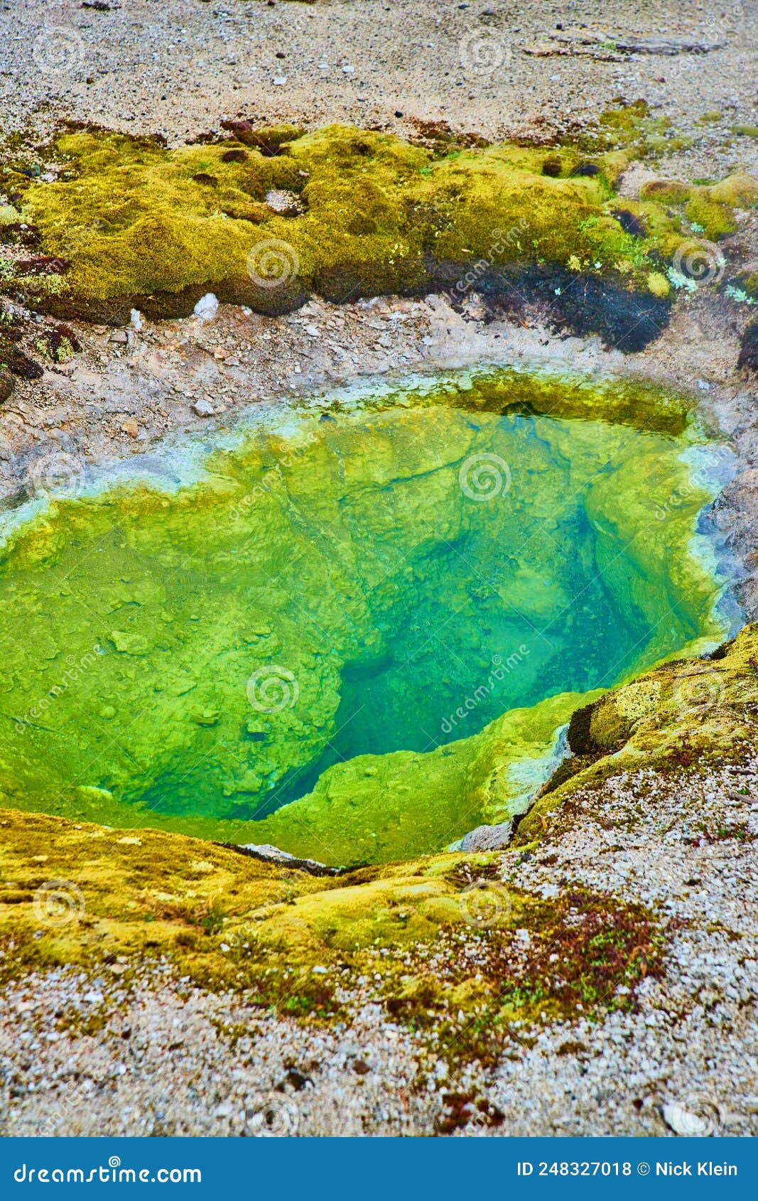 Basin with Small Green Alkaline Water Geyser Stock Photo - Image of ...