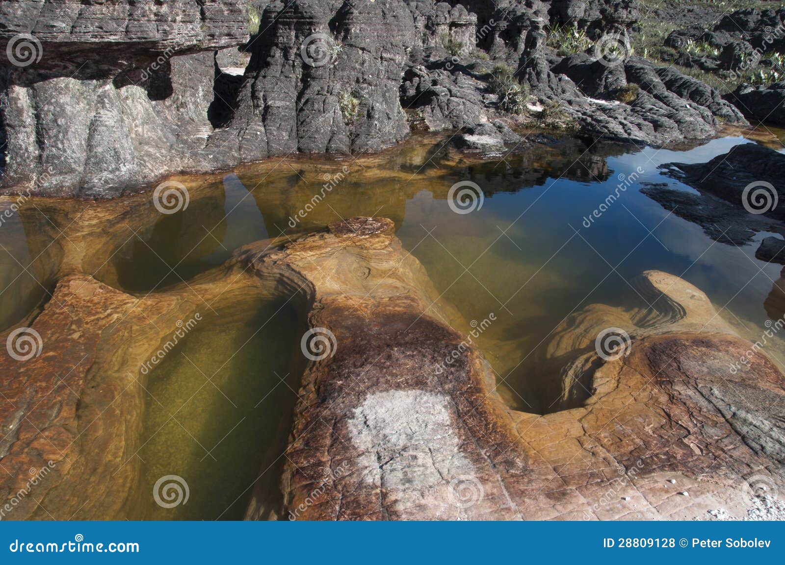 Basin on the Top of Roraima Plateau Stock Photo - Image of roraima ...