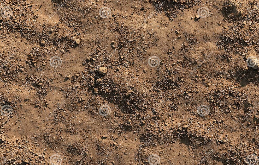 On the Basis of a Small Square of Plaster, Brown Decorative Plaster is ...