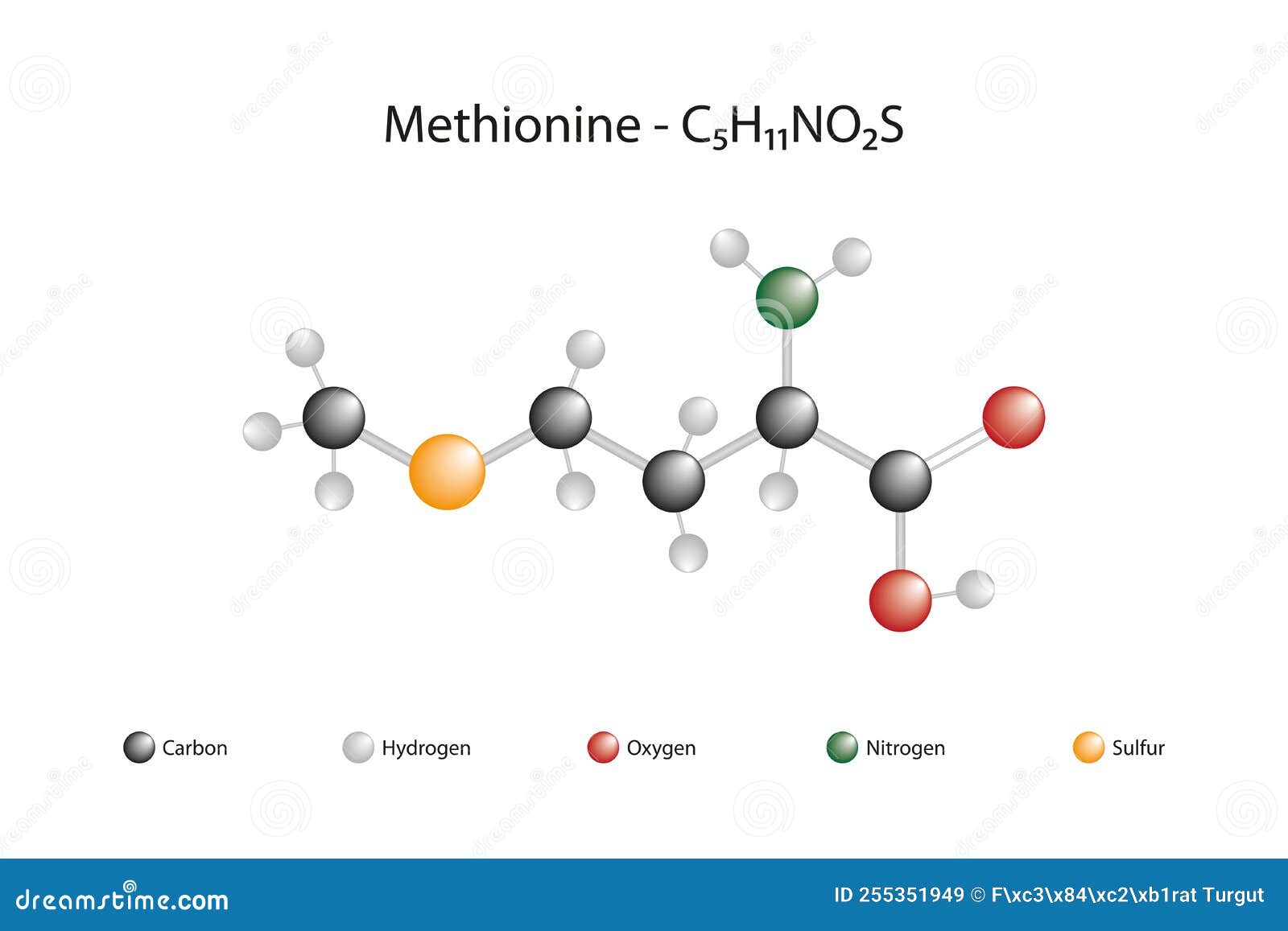 Molecular Formula of Methionine. Stock Vector - Illustration of formula ...