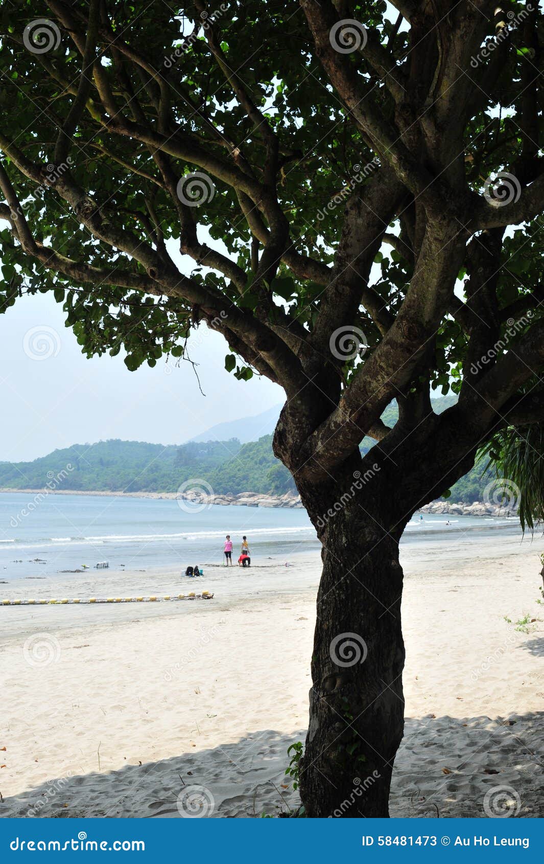 Bask the sun in the beach stock image. Image of vacation - 58481473