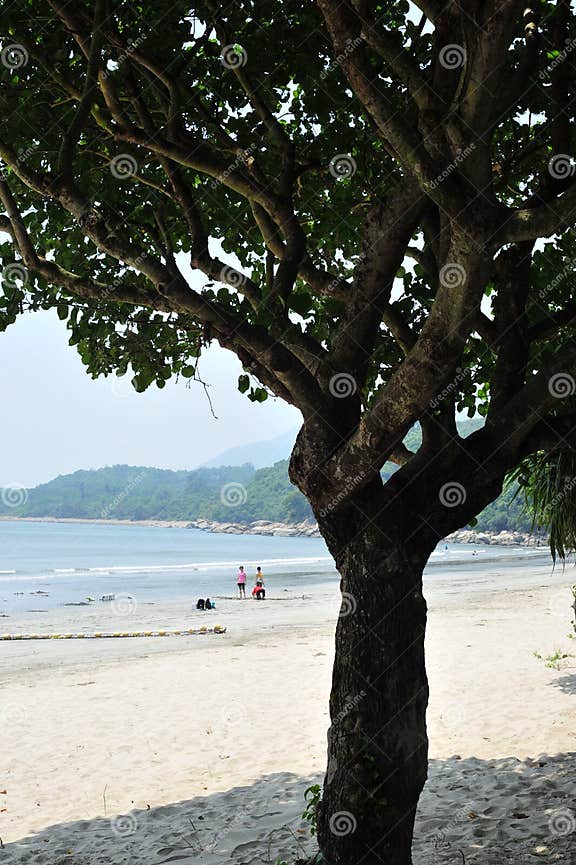 Bask the sun in the beach stock image. Image of vacation - 58481473