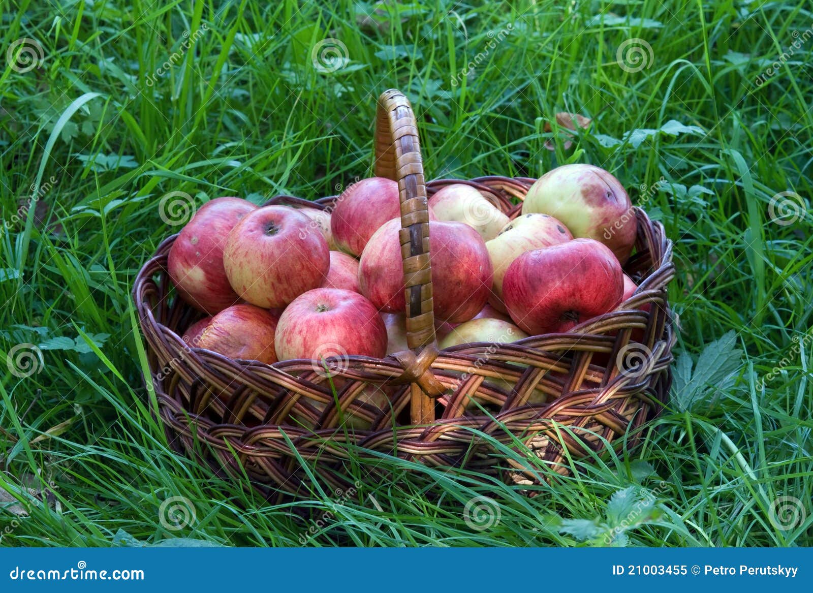 Basket of apples stock image. Image of basket, tasty - 21003455