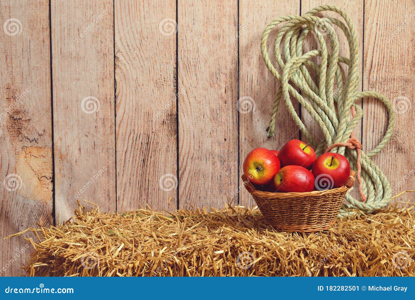 Basket of Apples on Hay Bale Stock Image - Image of harvest, green ...