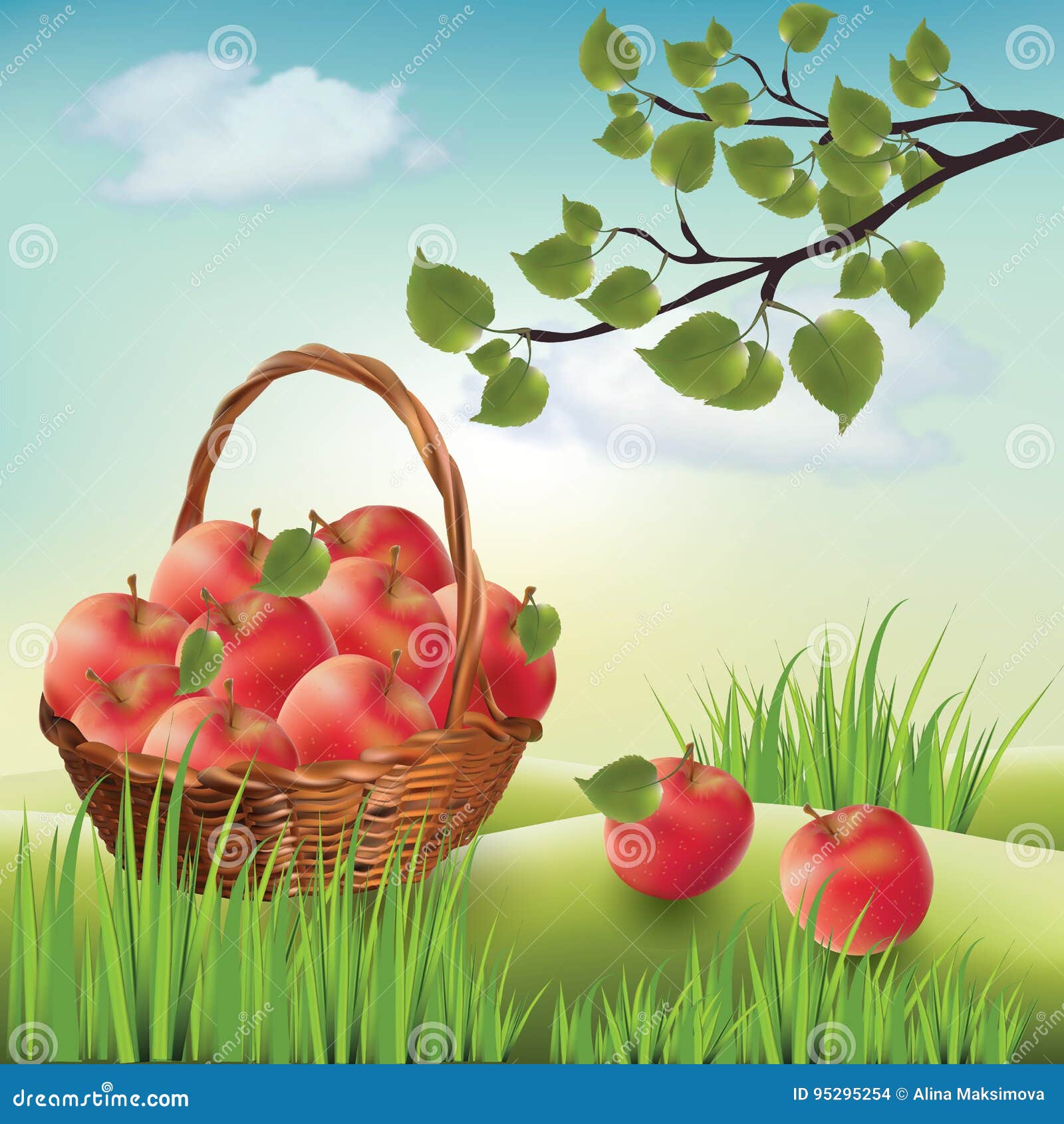 Basket with Apples. Landscape Lawn, Apple Tree Stock Vector ...
