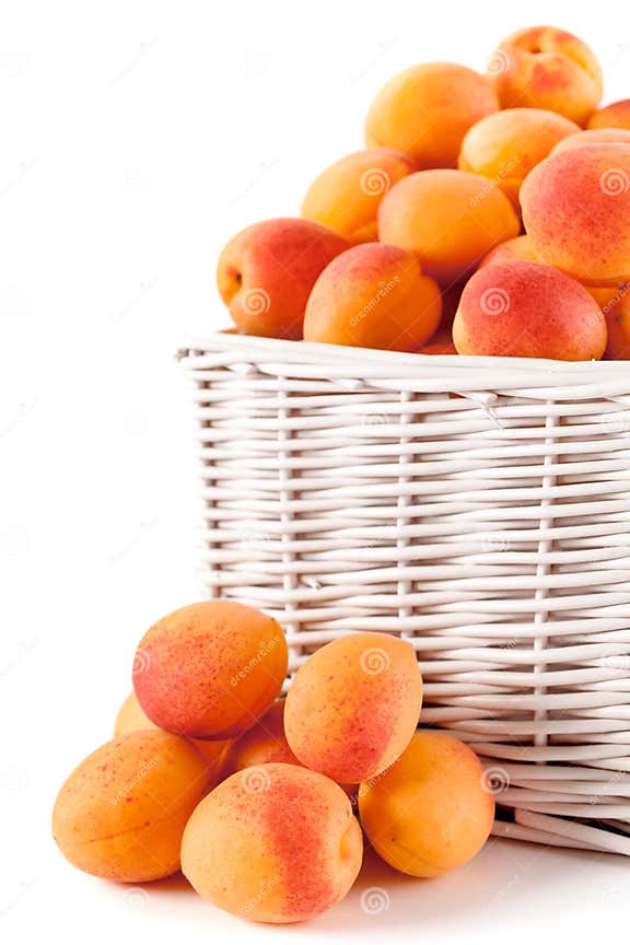 Basket of Apricots stock image. Image of fresh, wicker - 20303287