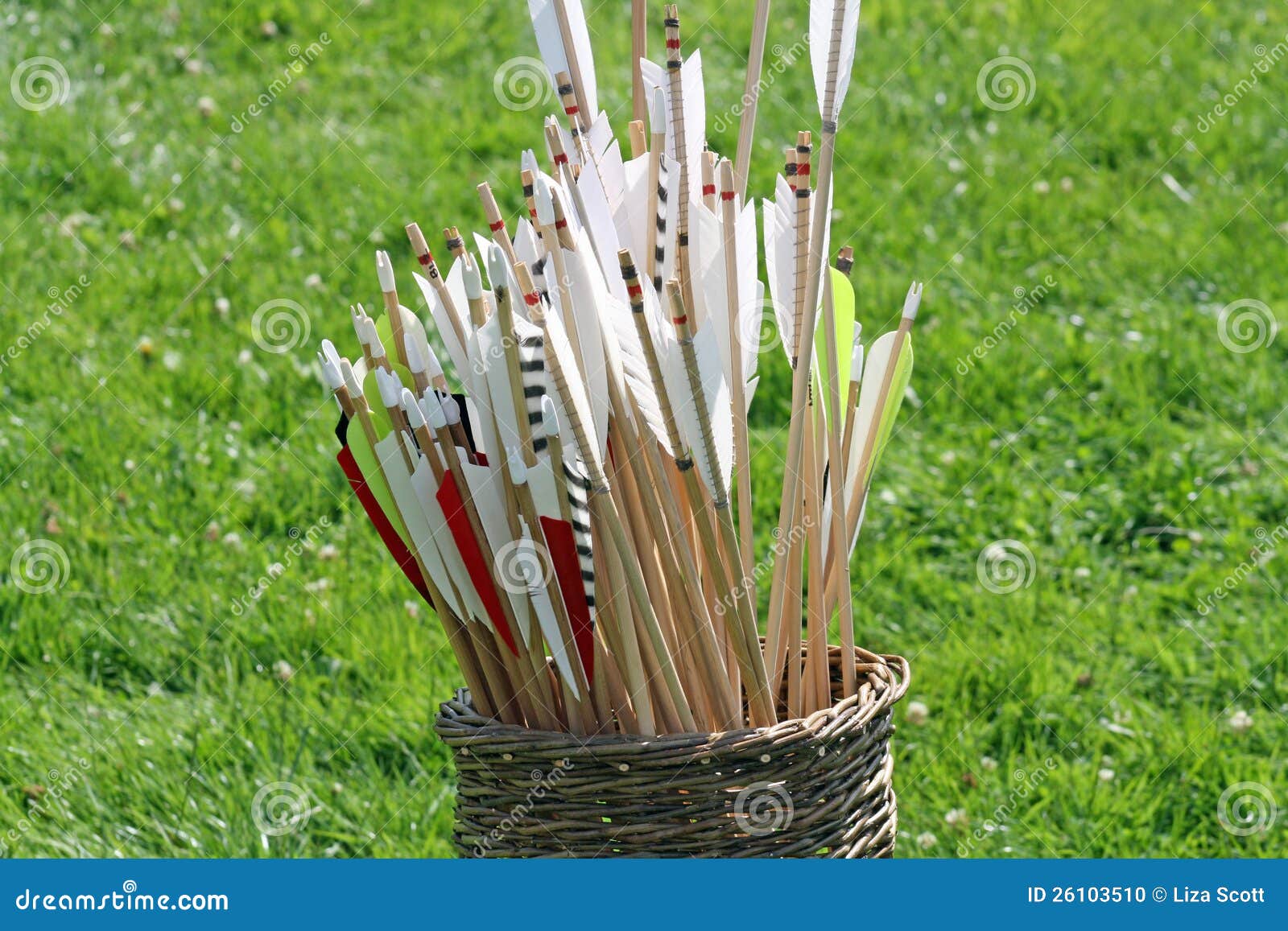 Basket of arrows stock photo. Image of accuracy, corporate - 26103510