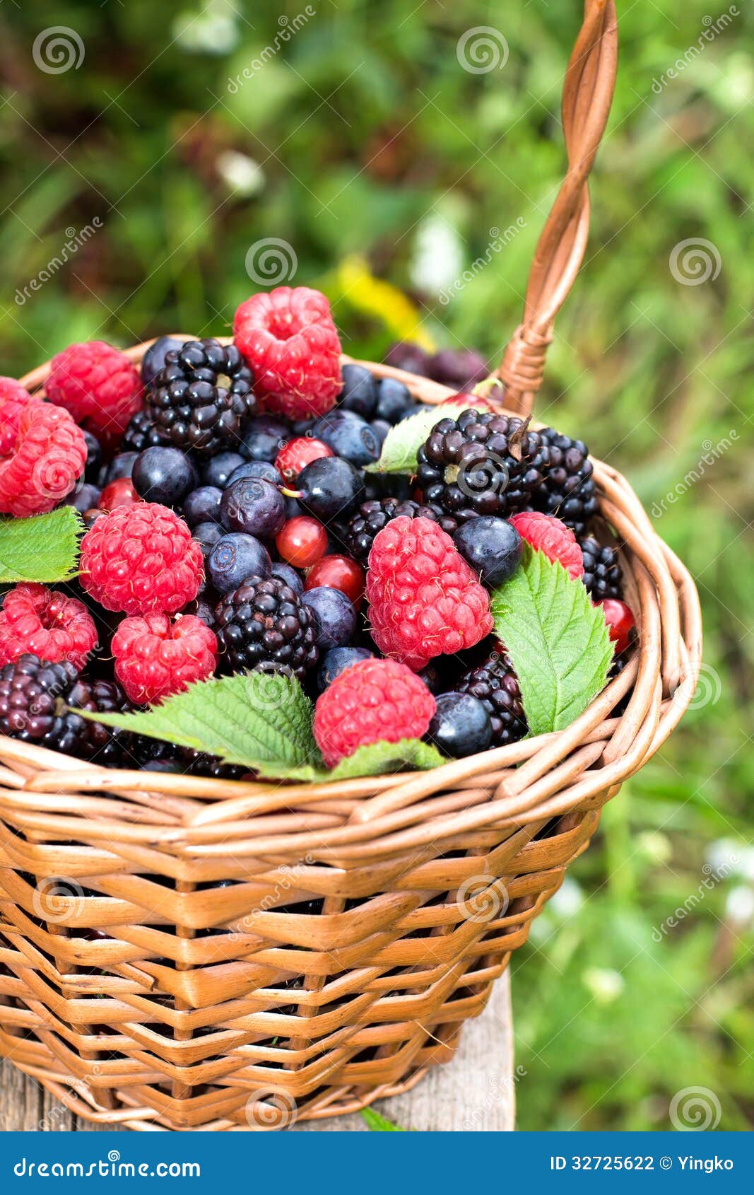 Basket of assorted berries stock photo. Image of produce - 32725622