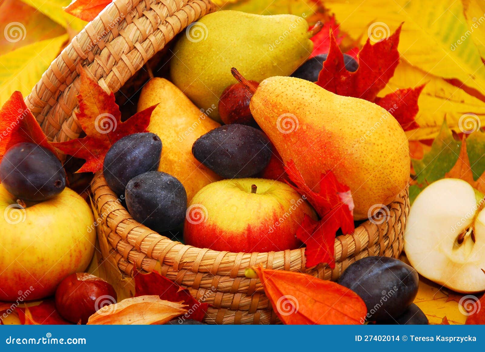 Basket of autumn fruits stock photo. Image of fresh, color - 27402014