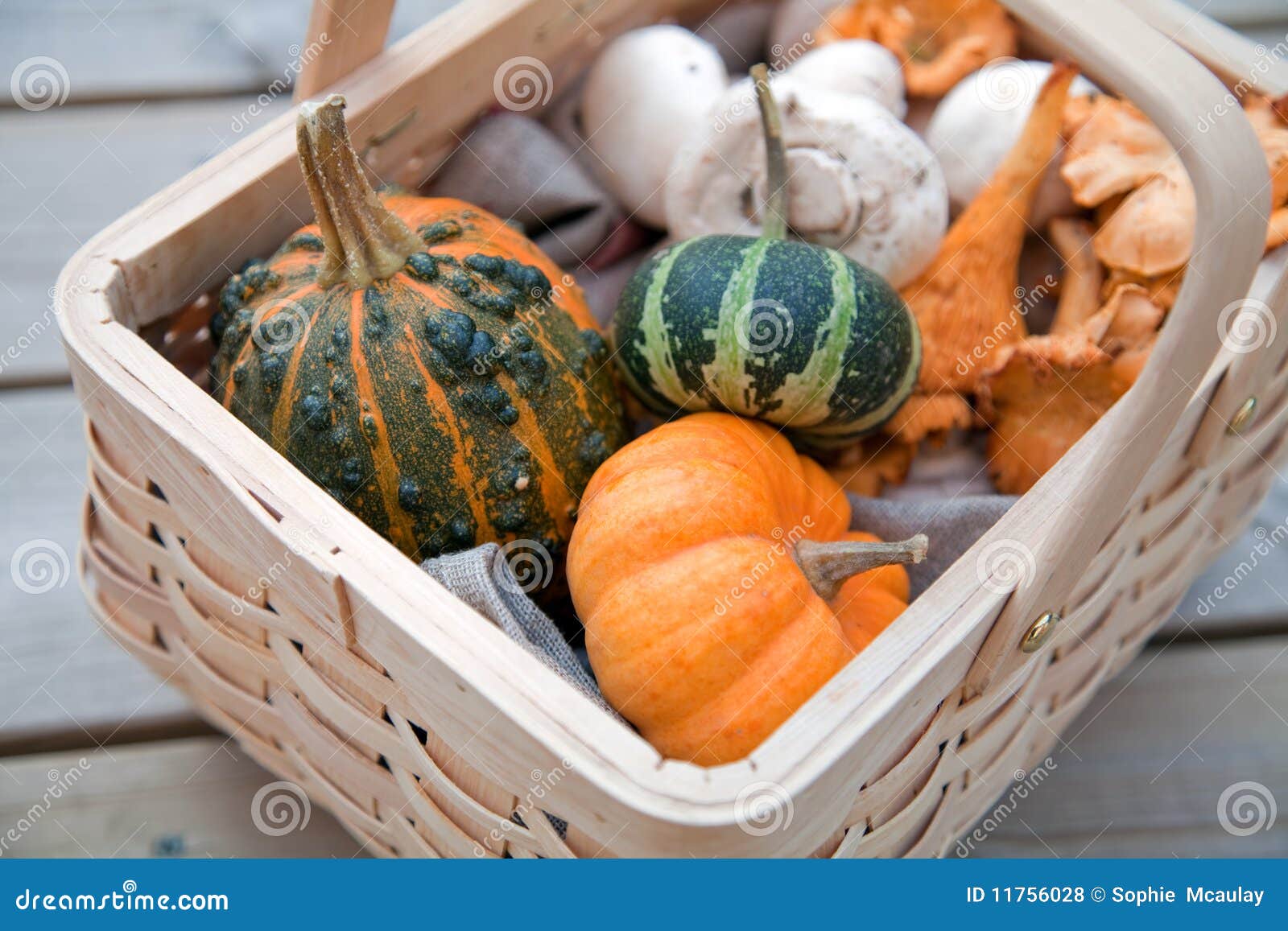 Basket of autumn goodies stock photo. Image of seasonal - 11756028