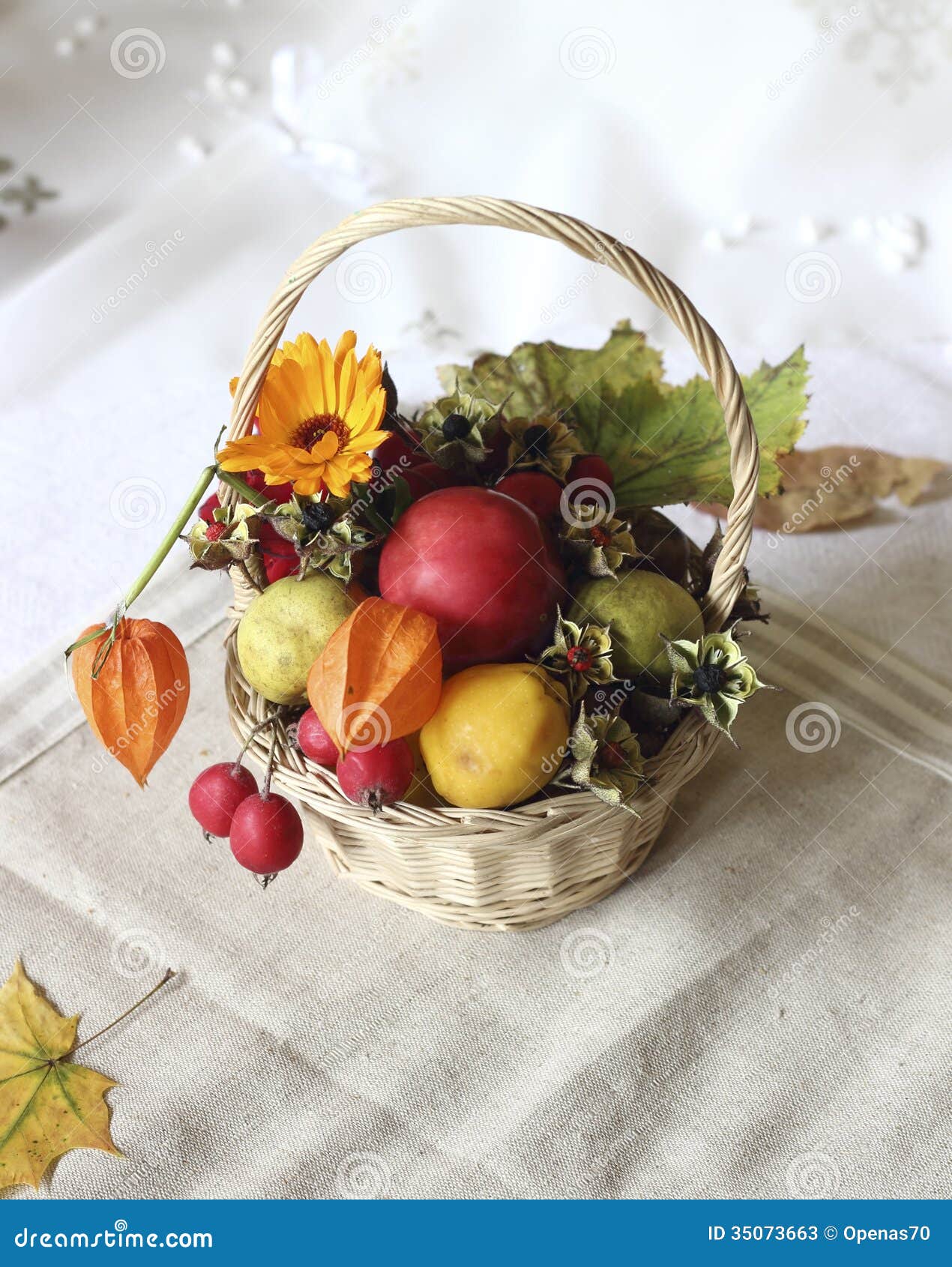 Basket with autumn goodies stock image. Image of desiccate - 35073663