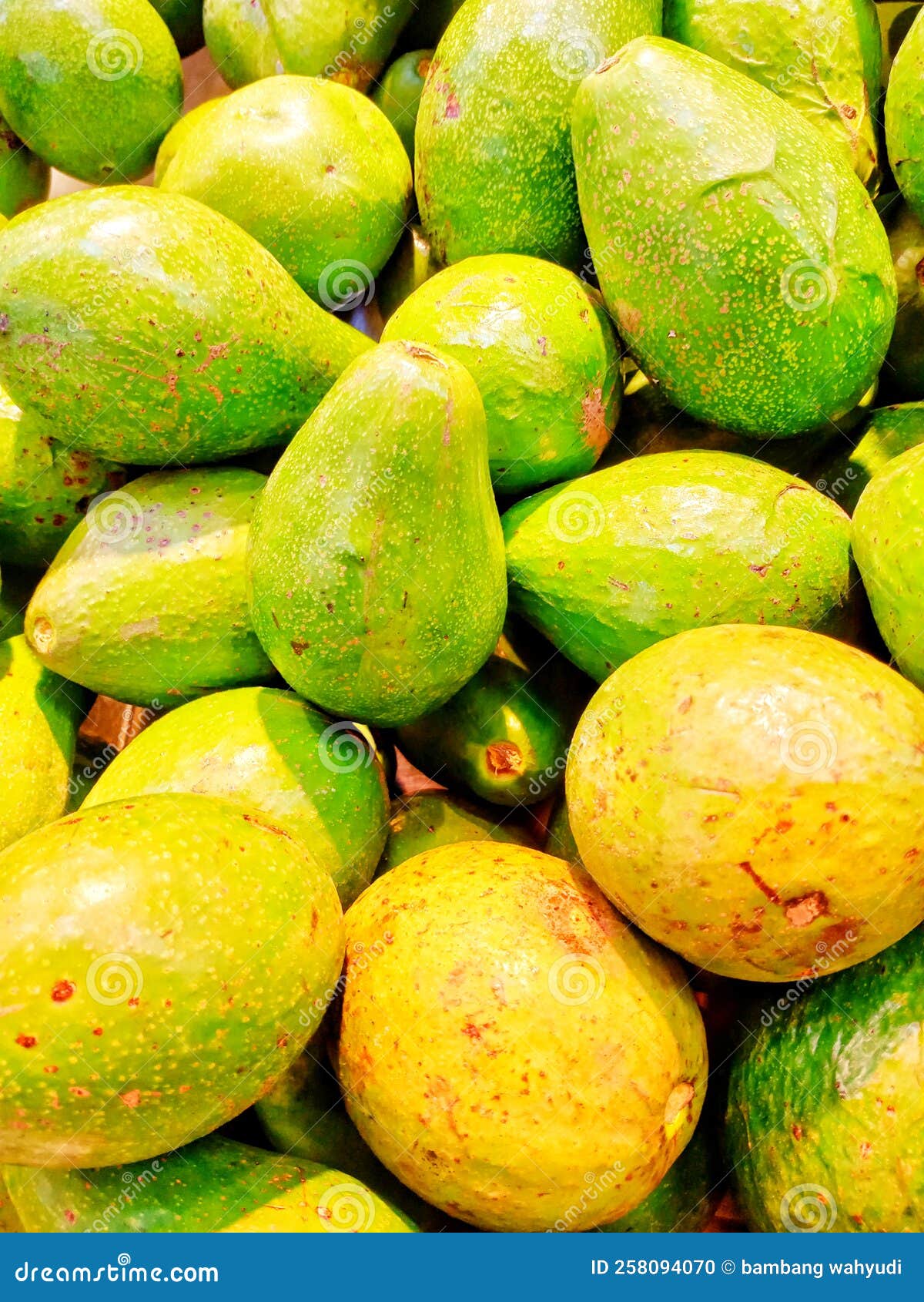 A Basket from Avocado with Fresh Fruit Stock Photo - Image of berry ...