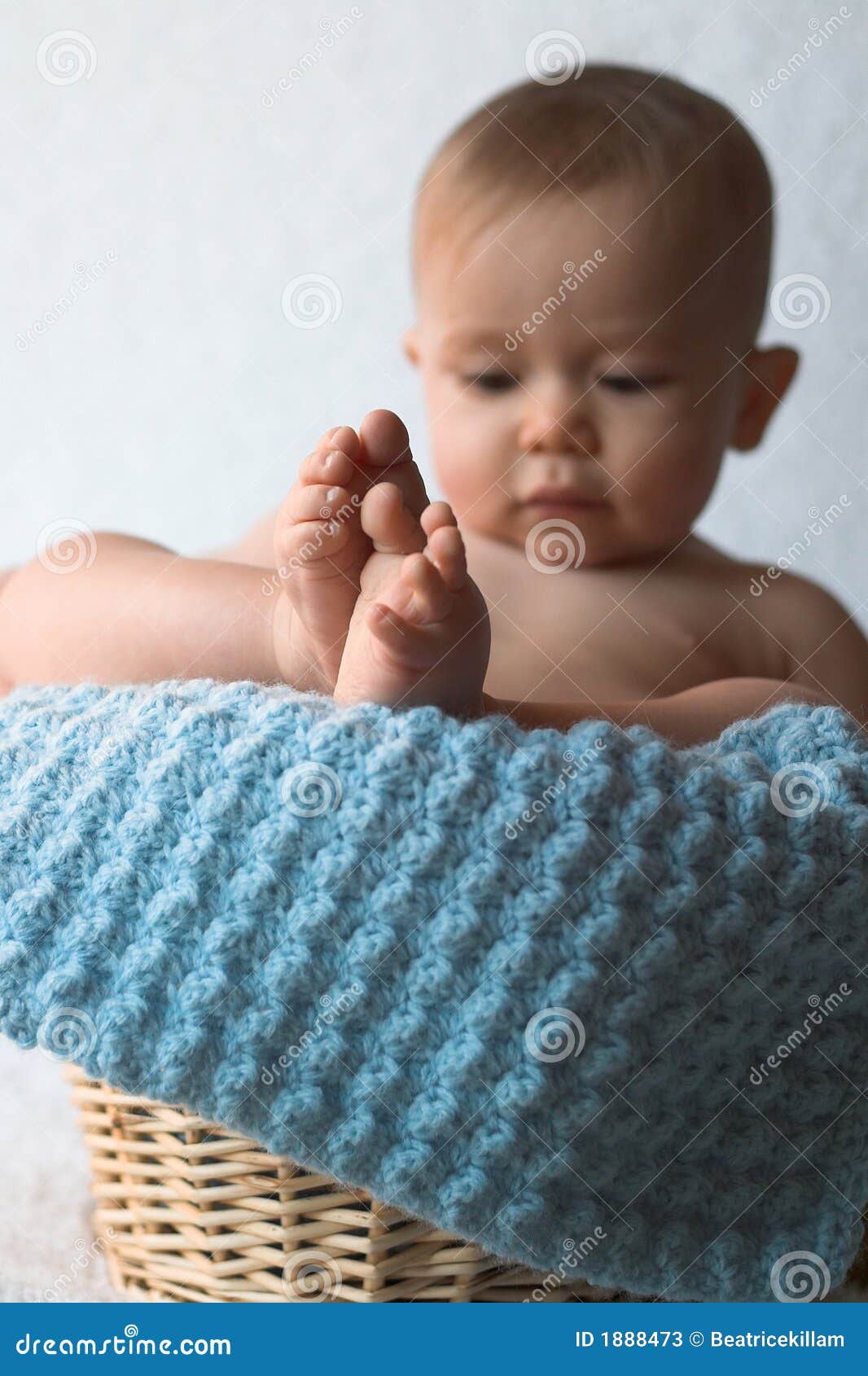 Basket Baby stock image. Image of beauty, innocent, gaze - 1888473