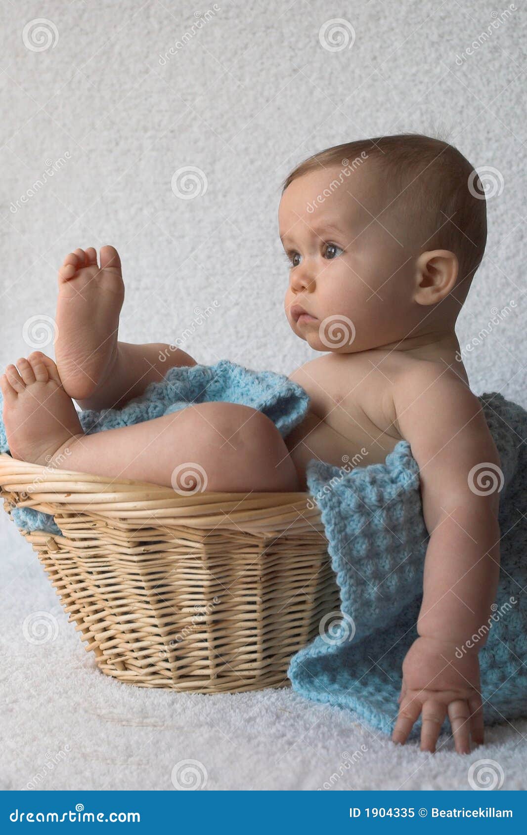 Basket Baby stock image. Image of toes, cute, beautiful - 1904335