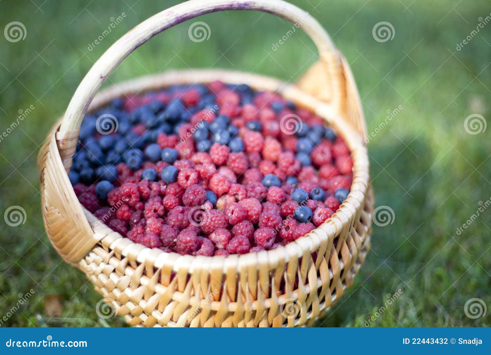 Basket of berries stock photo. Image of grass, raspberries - 22443432